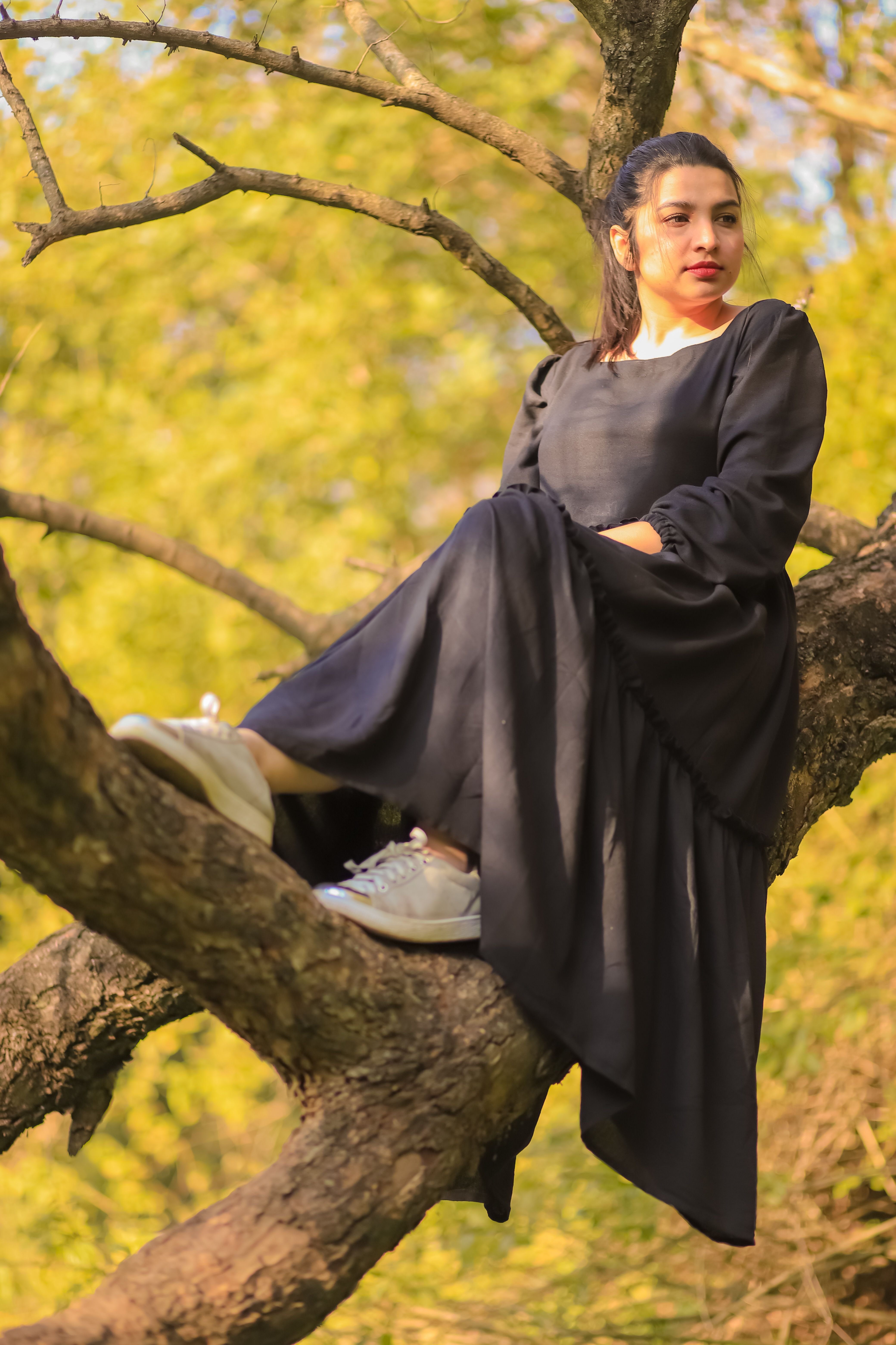 Elegant Woman in Dress Sitting on Tree in Summer Forest · Free Stock Photo