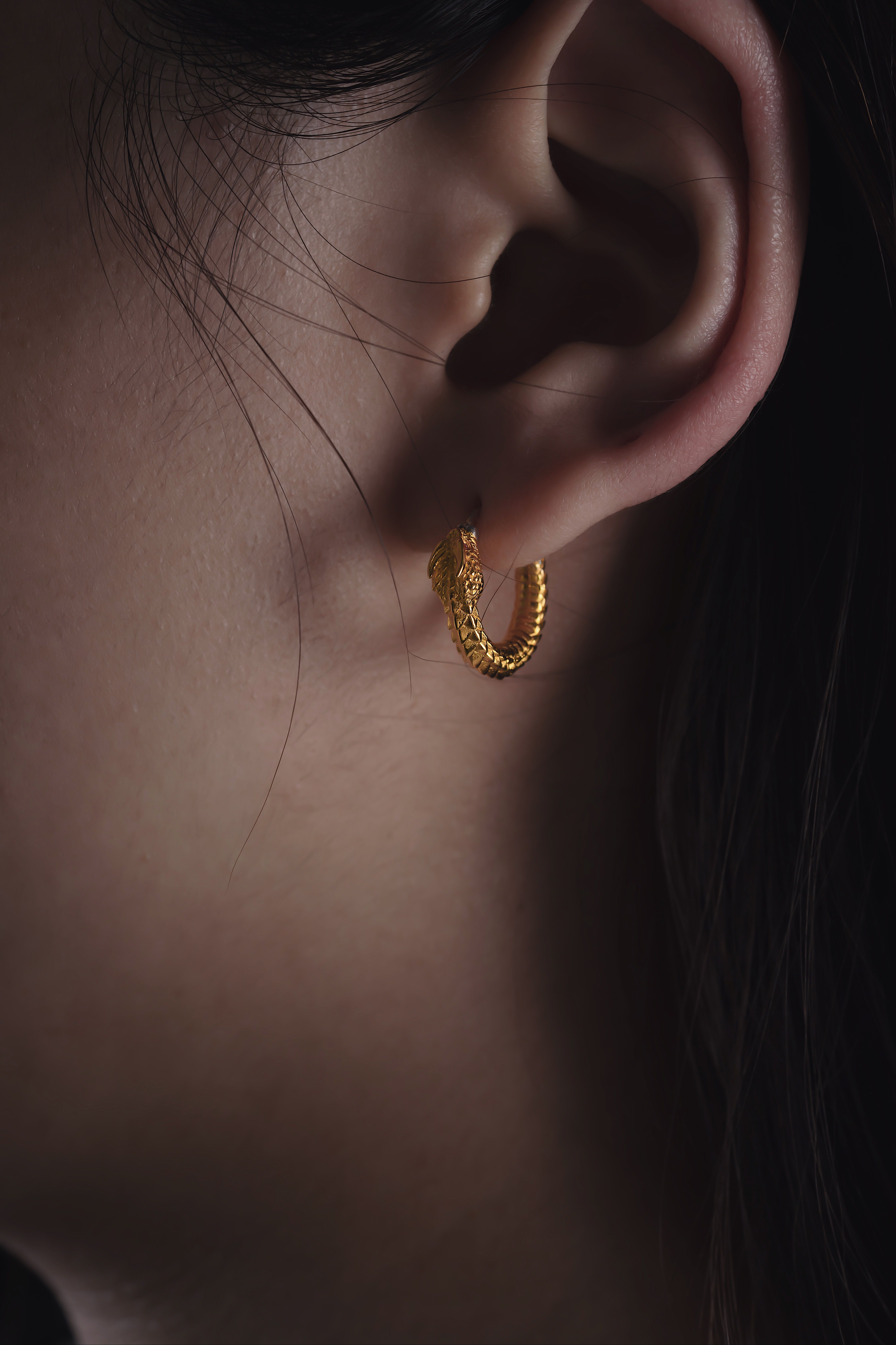 Golden Earring in Ear · Free Stock Photo