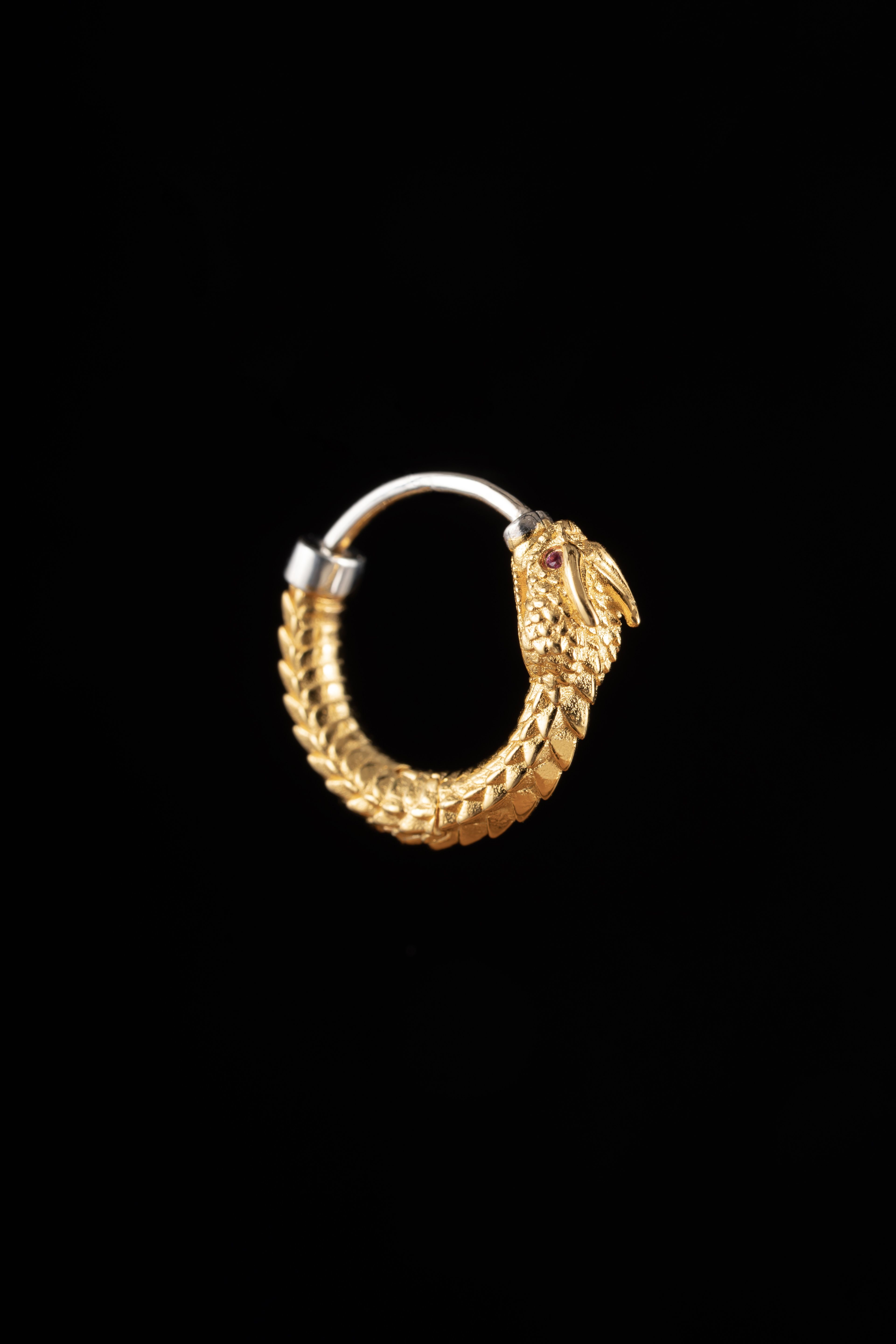 Close-up of a Gold Earring in a Dragon Shape · Free Stock Photo