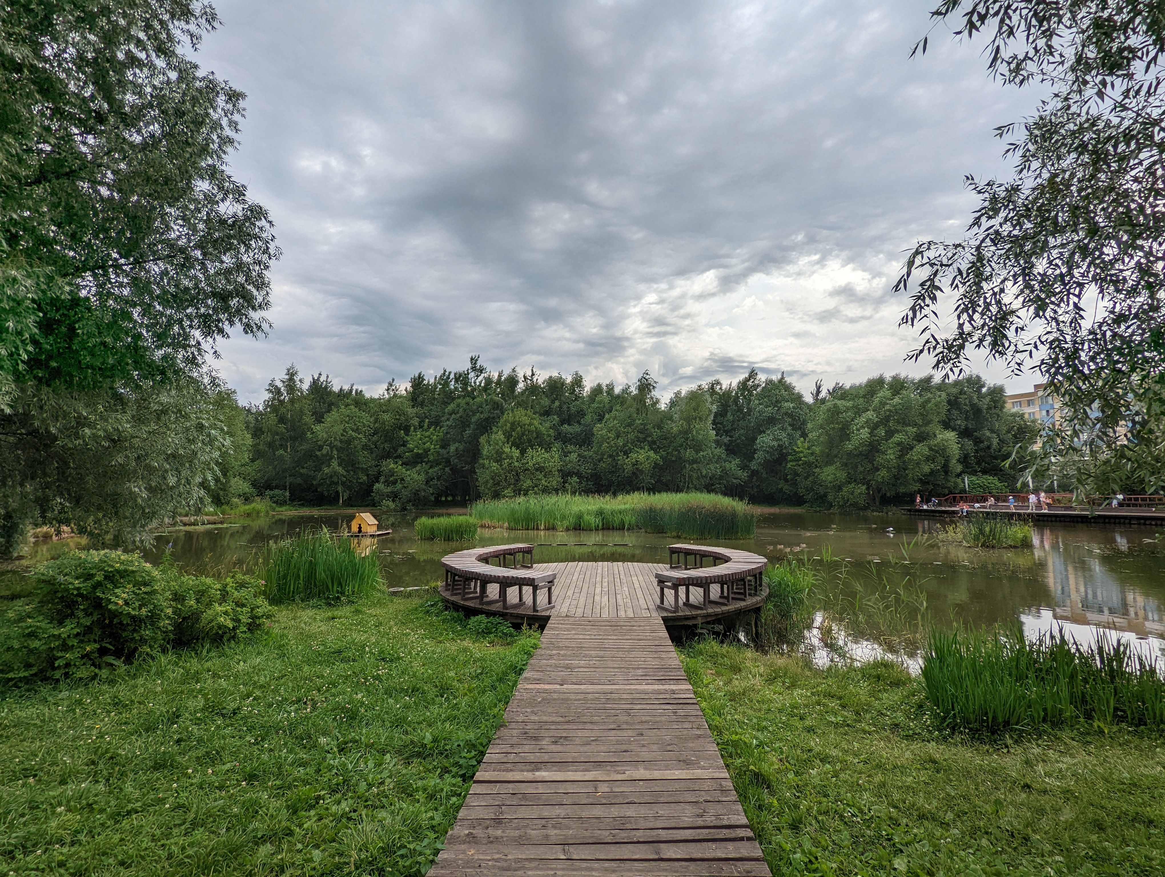 Benches on Wooden Pier on Lakeshore · Free Stock Photo