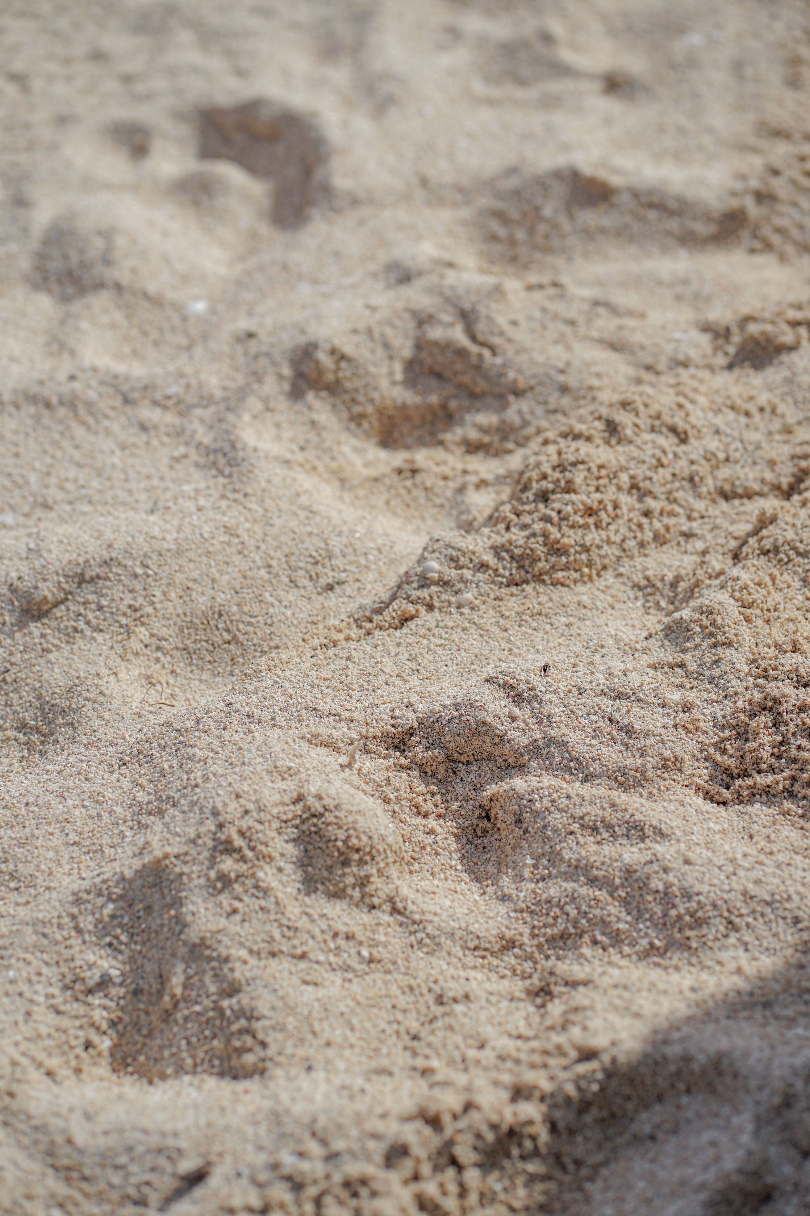 Sand on a Beach · Free Stock Photo