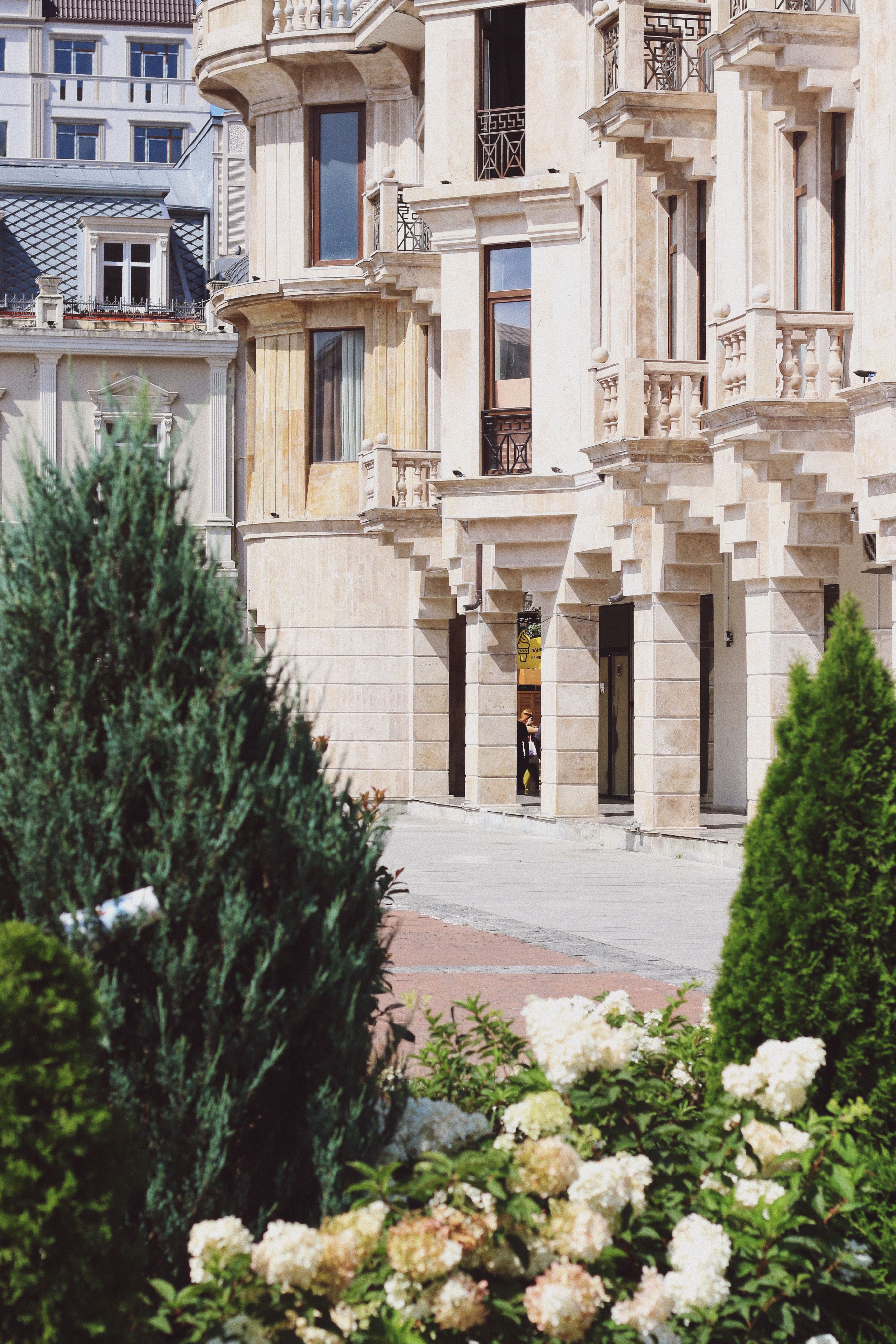 Flowering Bush in Front of a Residential Building · Free Stock Photo