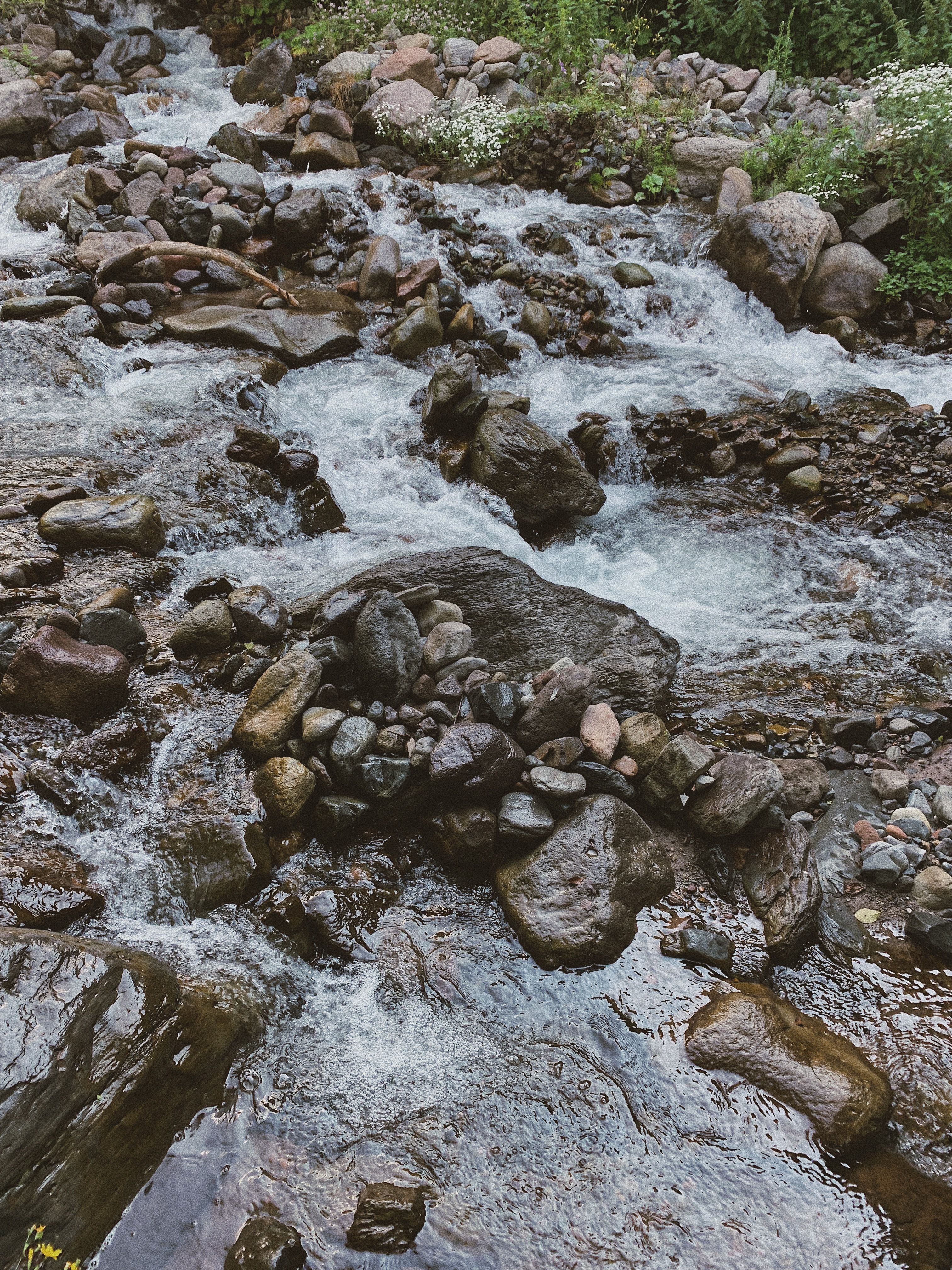 Close up of Rocks and Flowing Water of Stream · Free Stock Photo