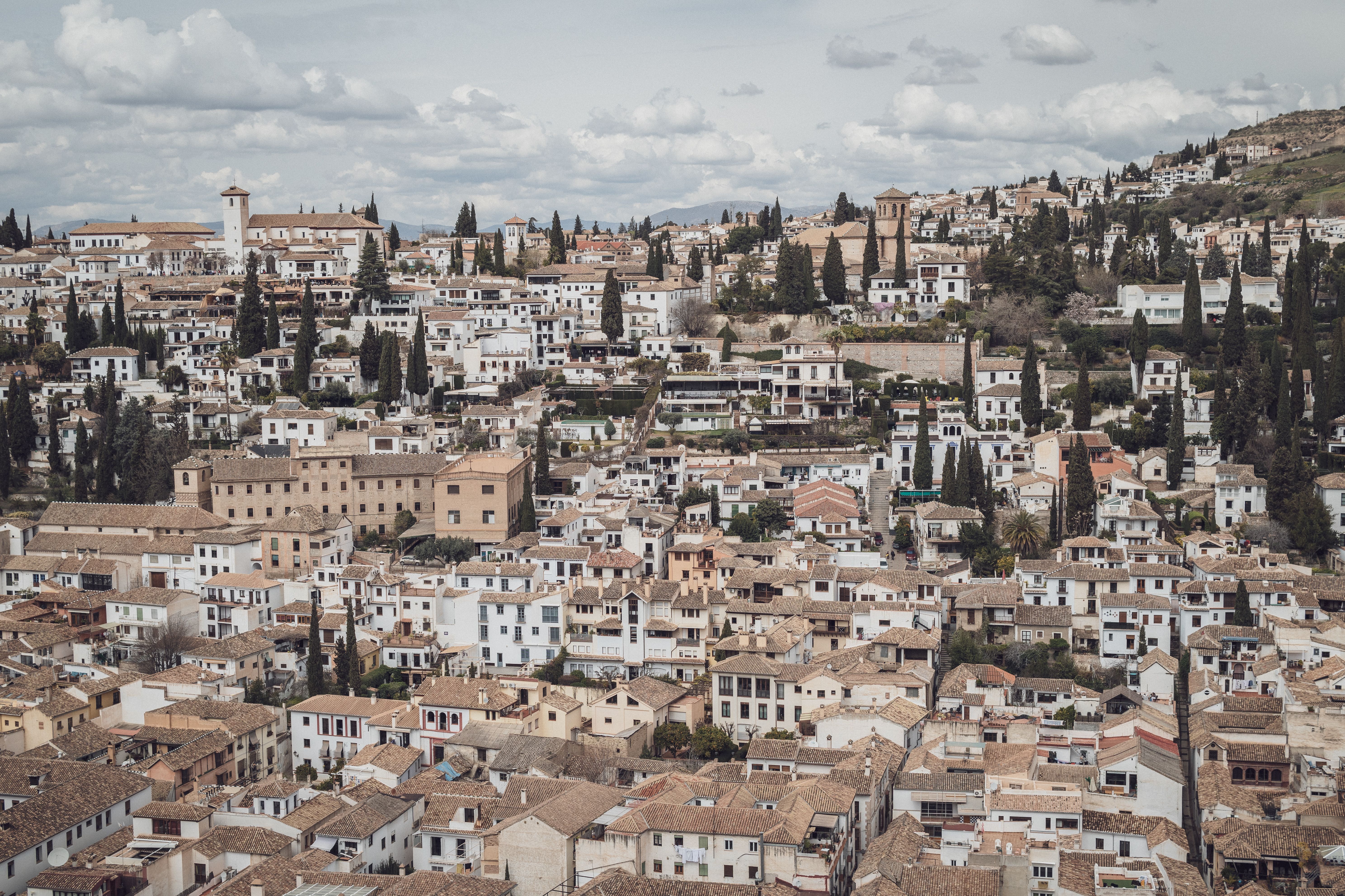 Townscape with Tiled Roofs and Cypress Trees · Free Stock Photo