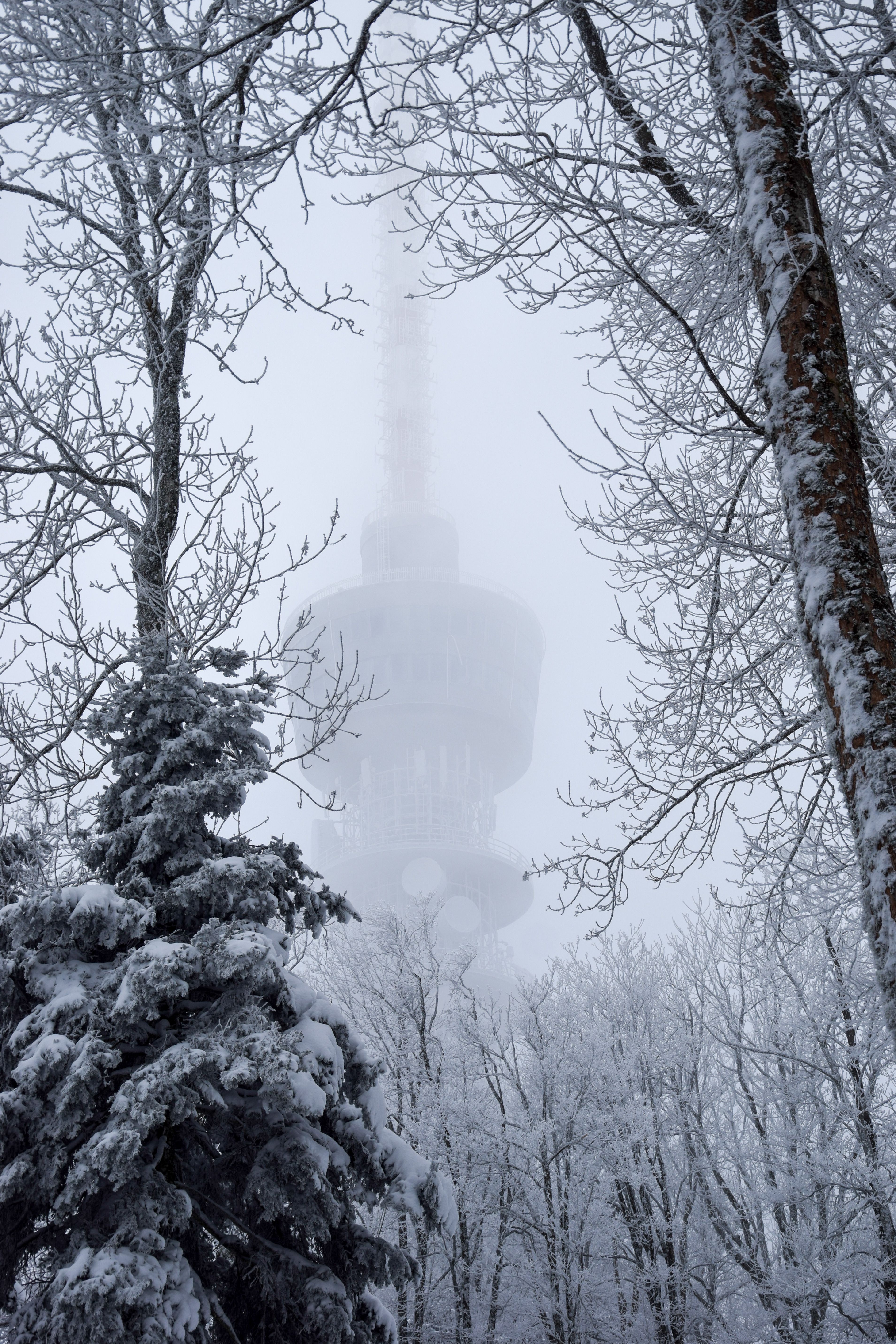 Foto de stock gratuita sobre croacia, frío, invierno, neblina, nevar ...
