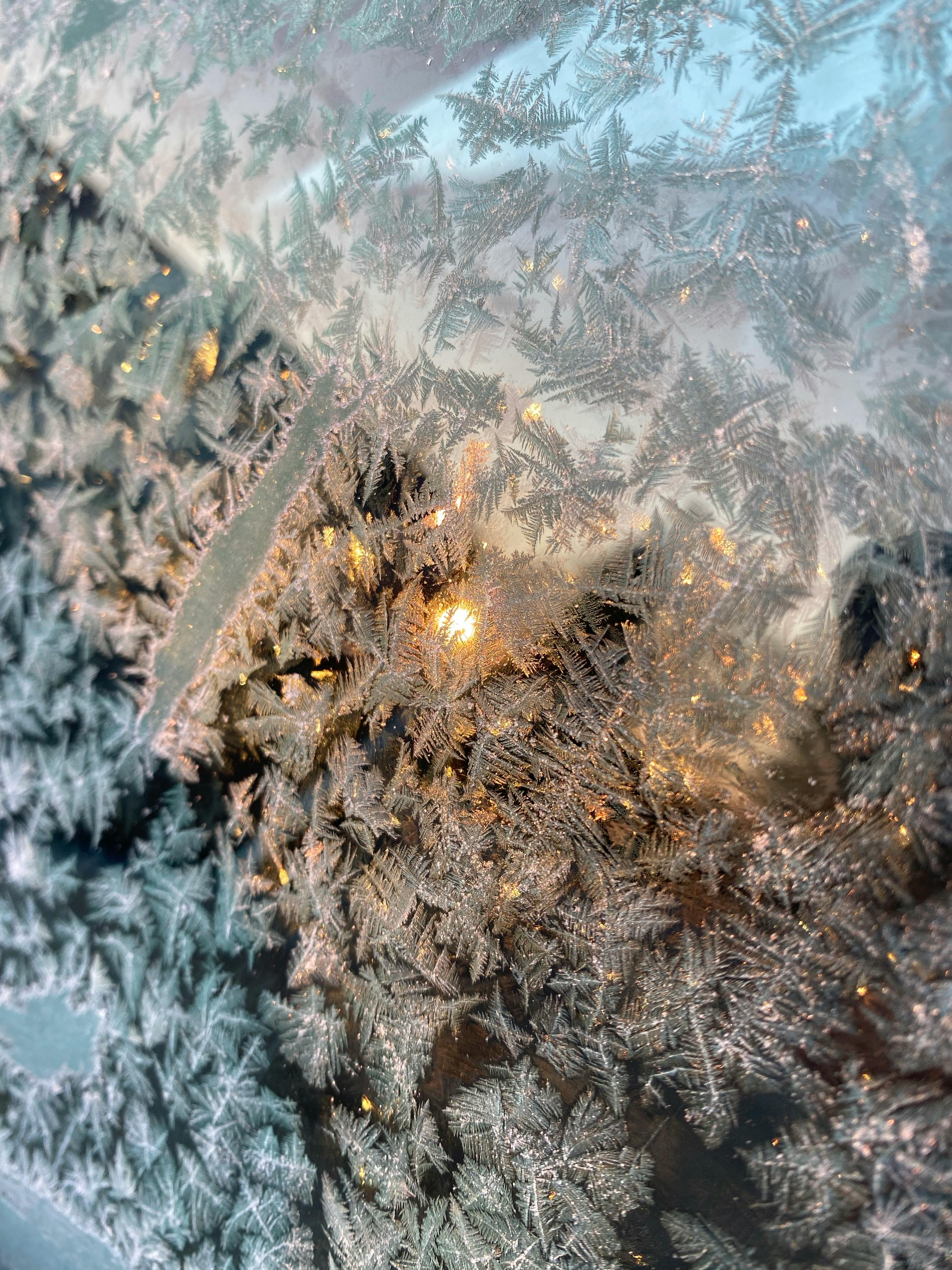 Frost Locker Photos, Download The BEST Free Frost Locker Stock Photos ...