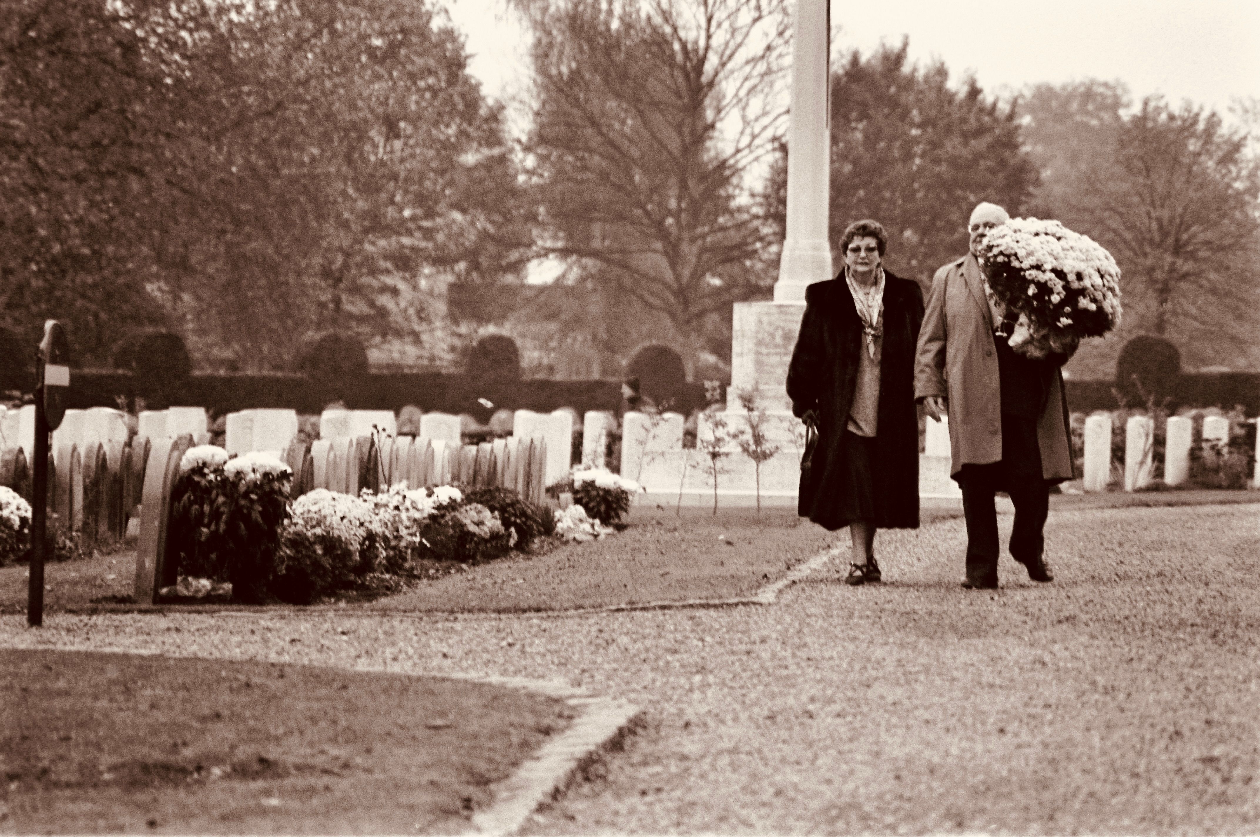 Cemetery Photo Photos, Download The BEST Free Cemetery Photo Stock ...