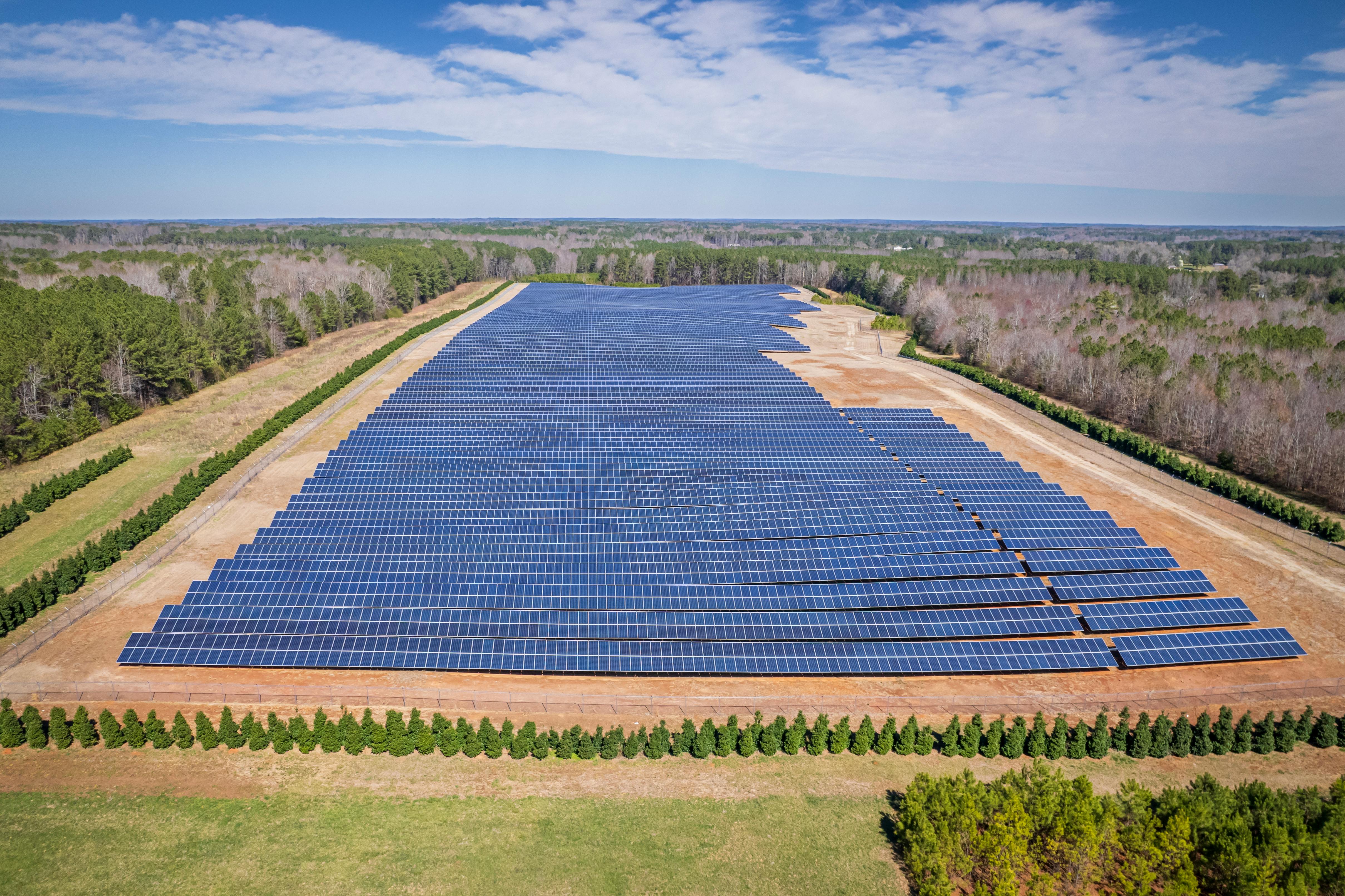Solar Farm in Forest · Free Stock Photo