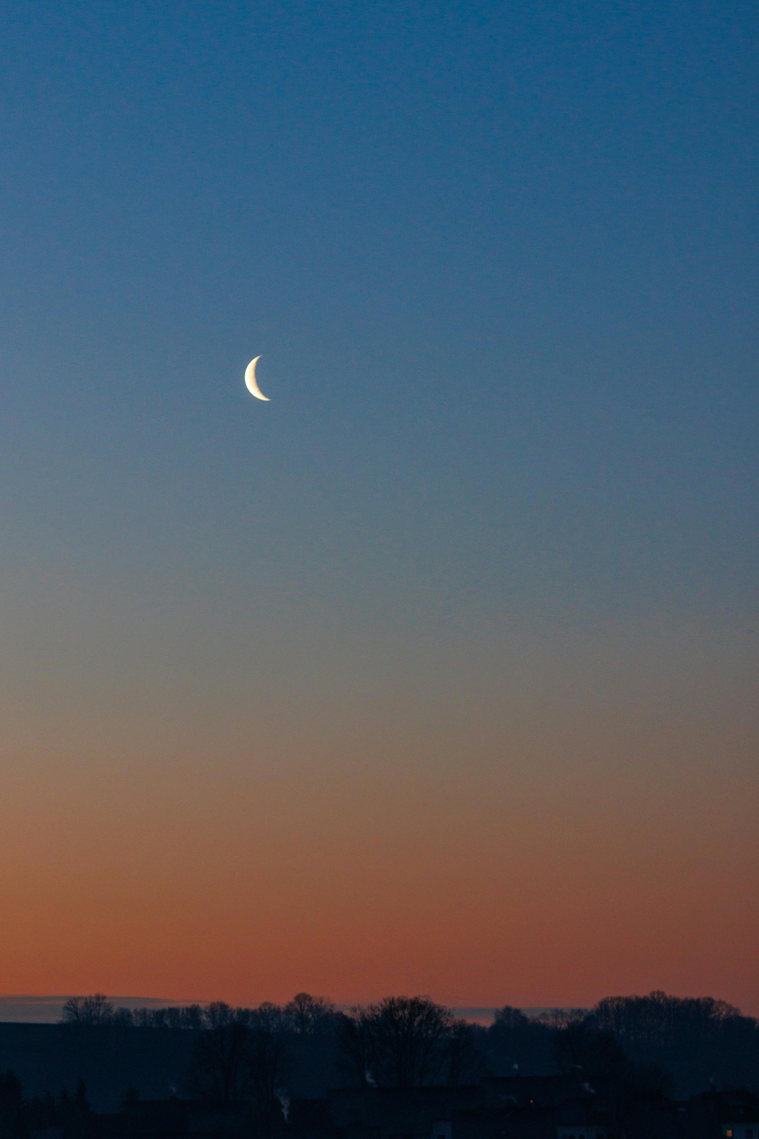 Crescent on Night Sky over Tree Branch · Free Stock Photo