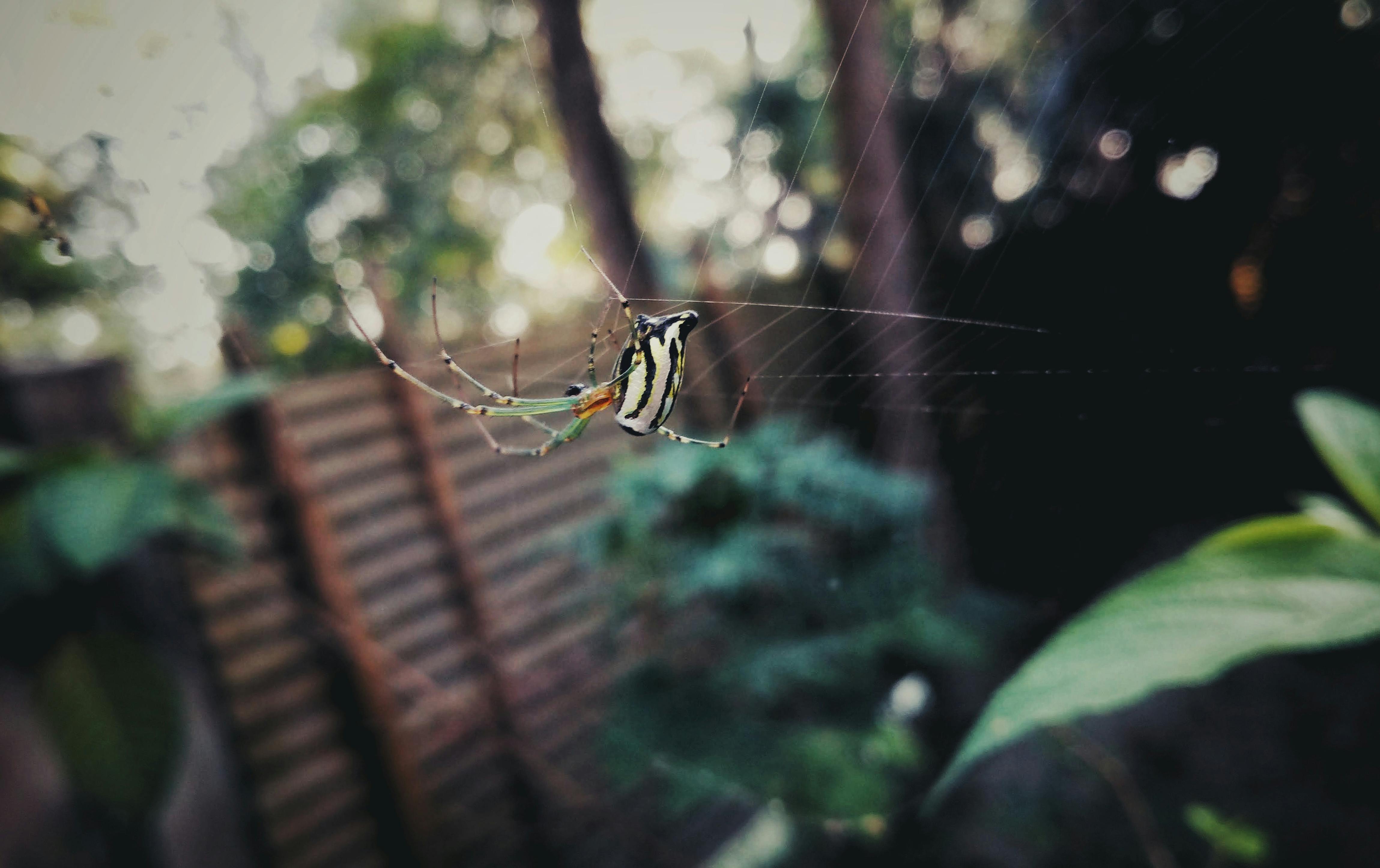 SAM Photography - 摄影