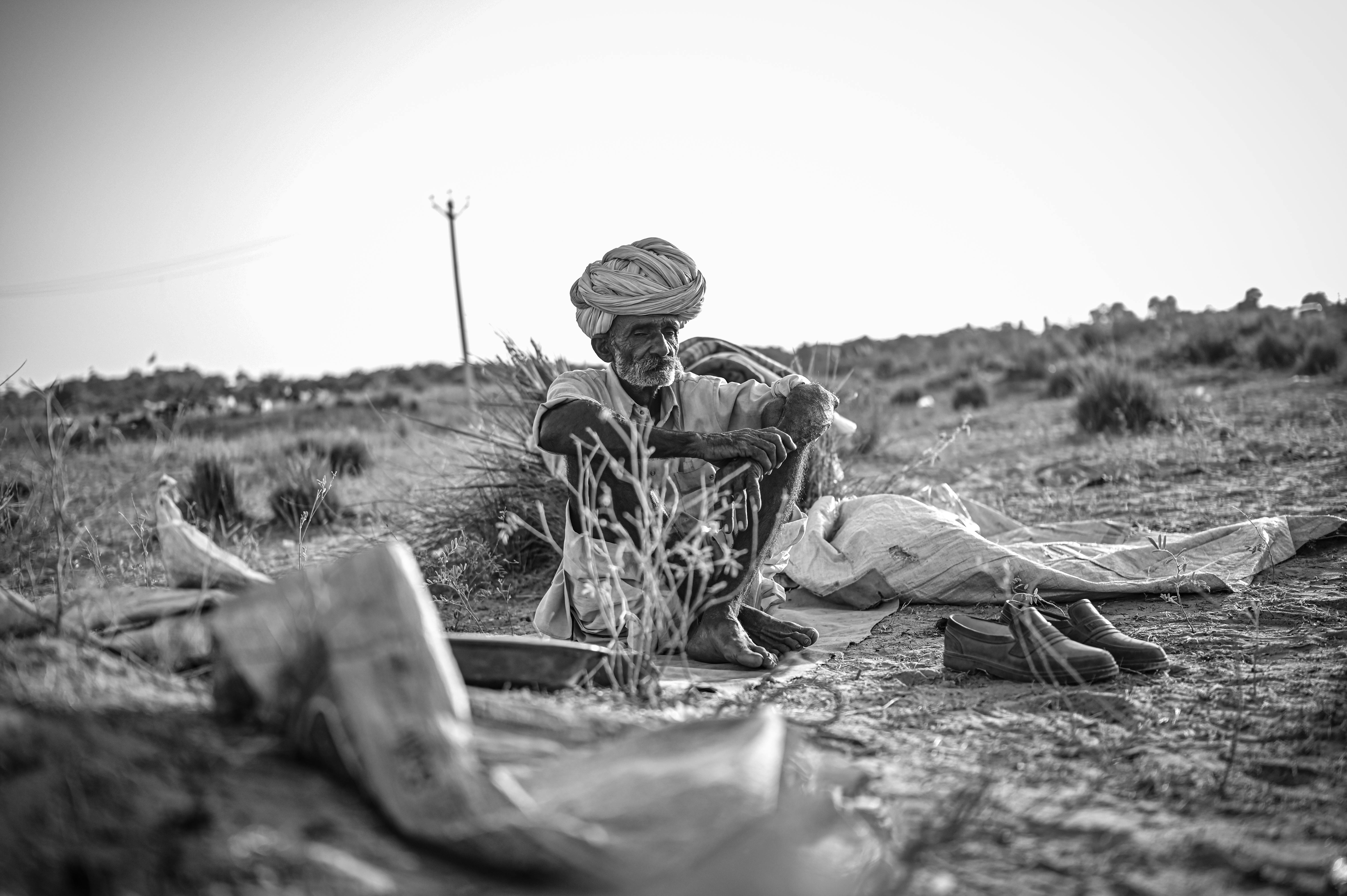 Ground Hog Photos, Download The BEST Free Ground Hog Stock Photos & HD ...