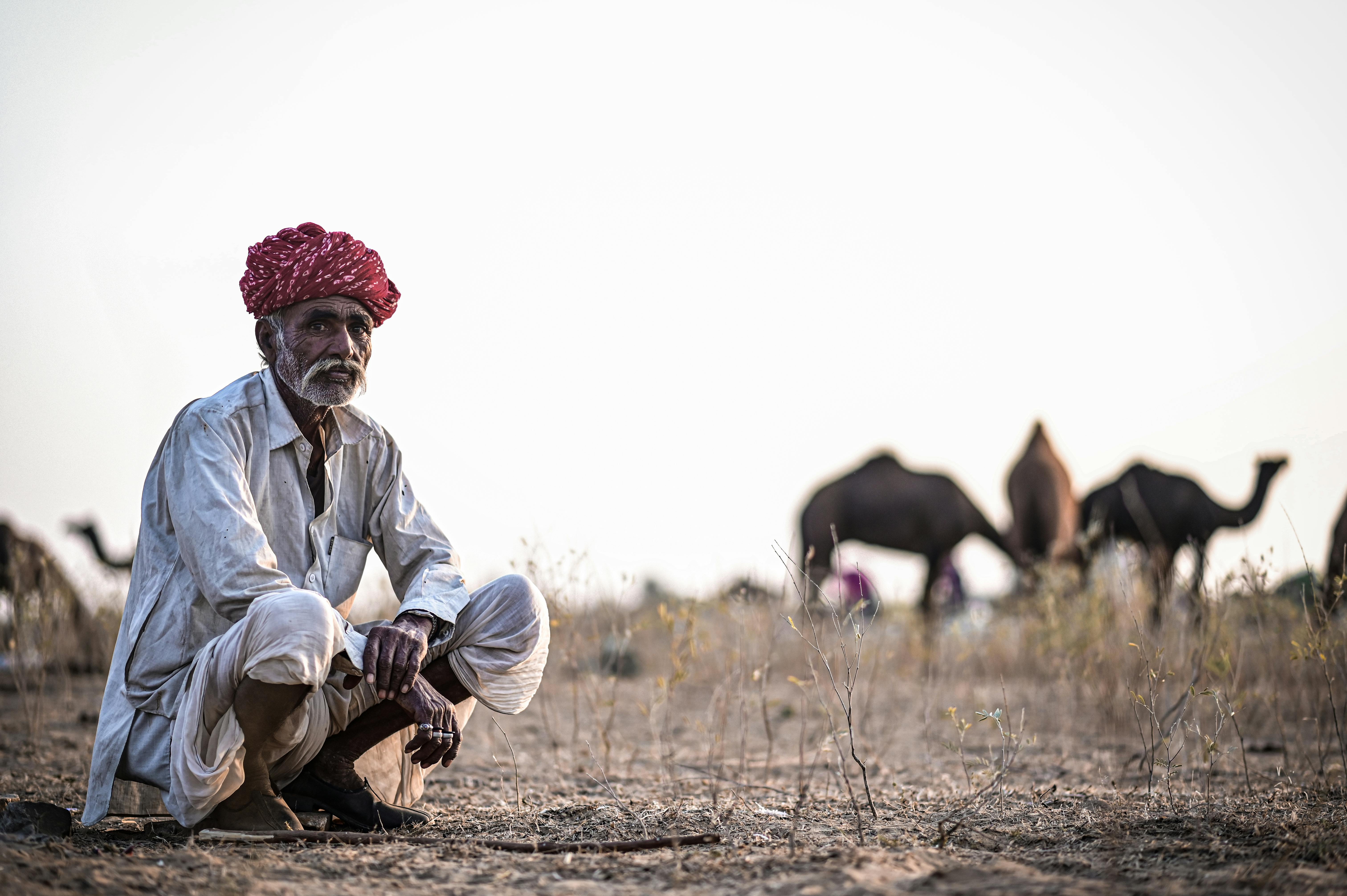 Life of Pushkar · Free Stock Photo