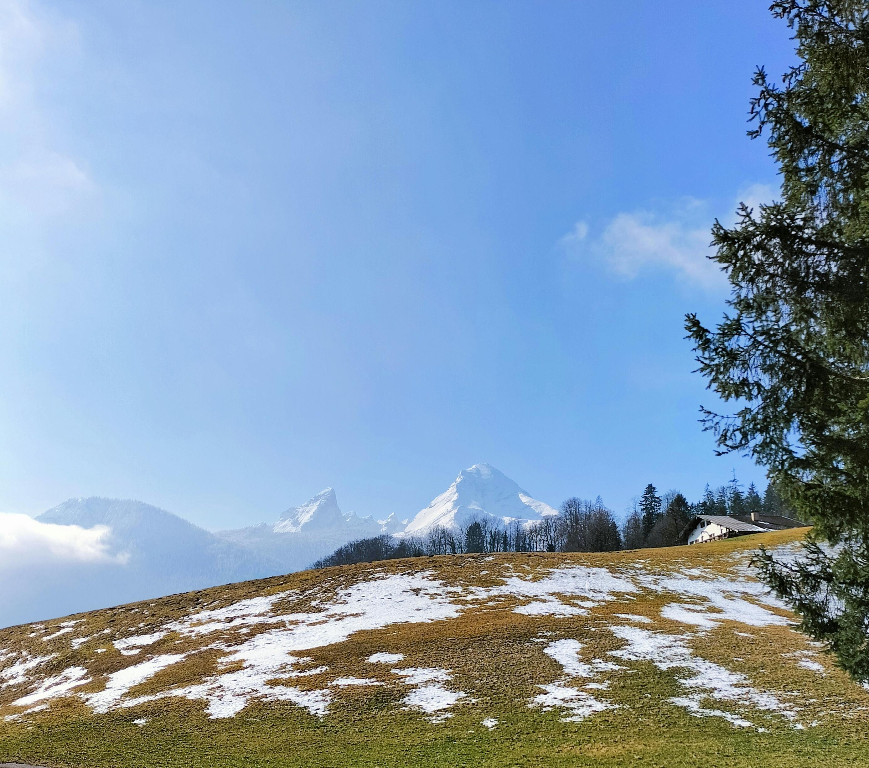 Mario Schenk - 사진