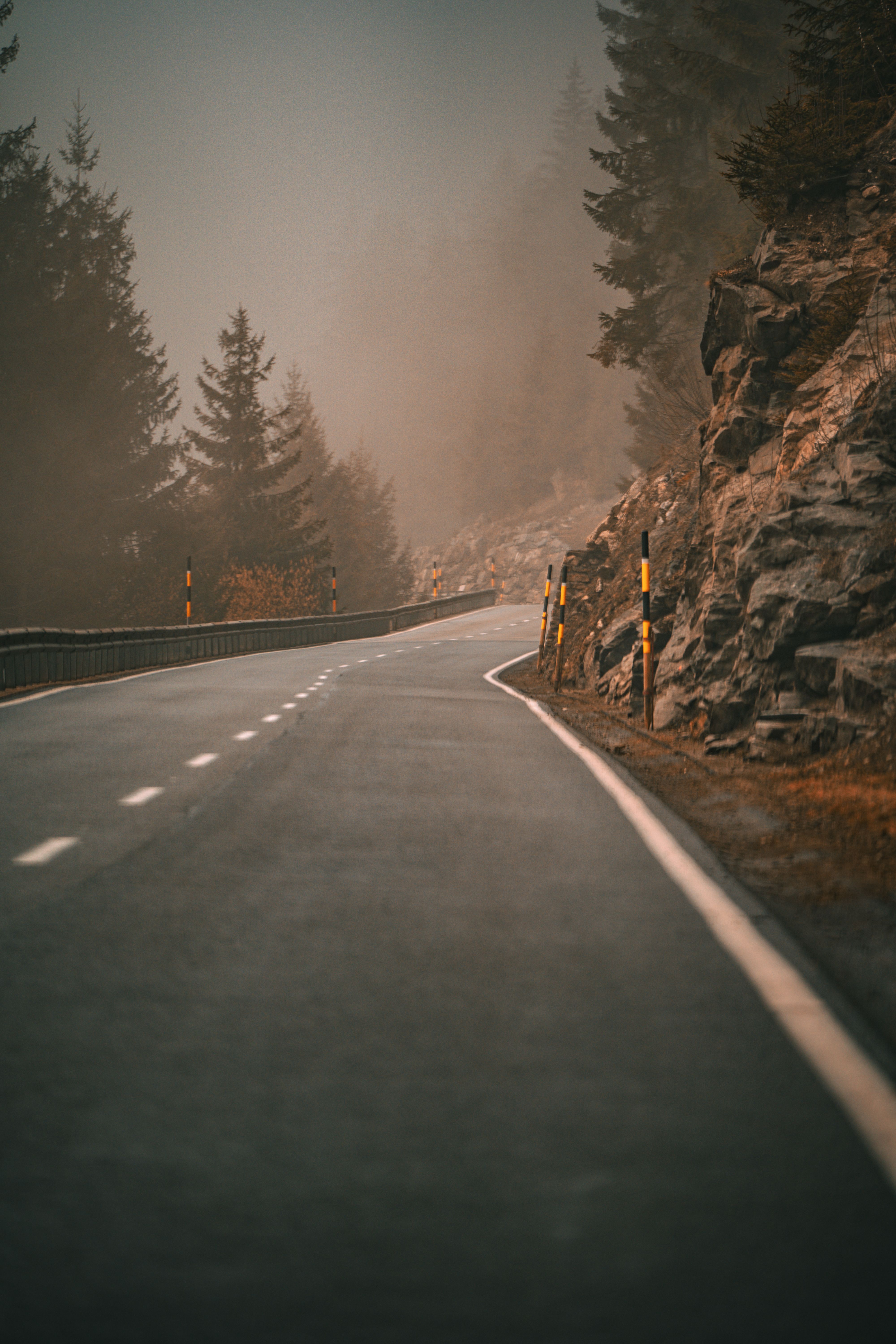 Asphalt Road Pathway Scenery · Free Stock Photo