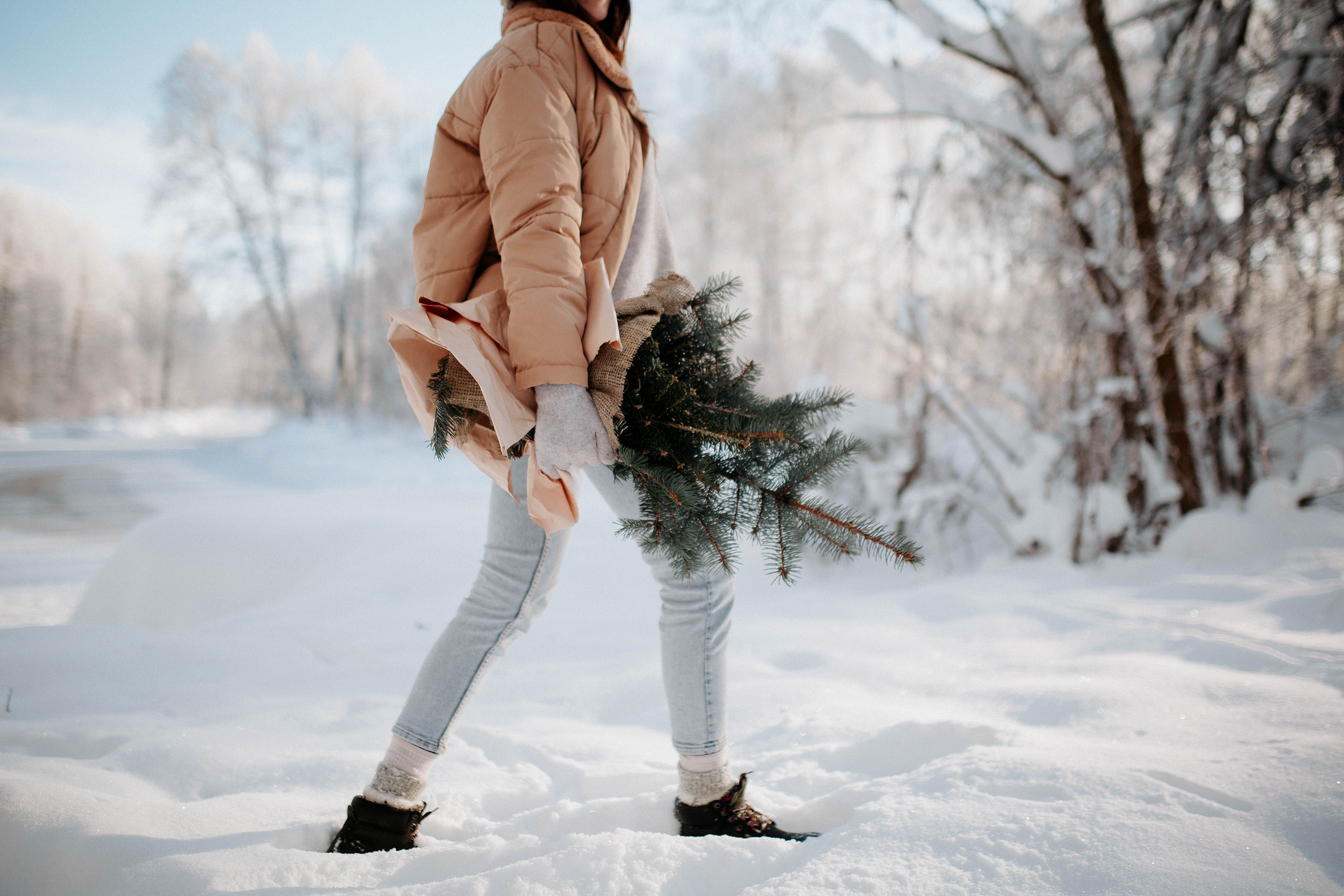 Woman with Spruce Branches Walking in Snow · Free Stock Photo