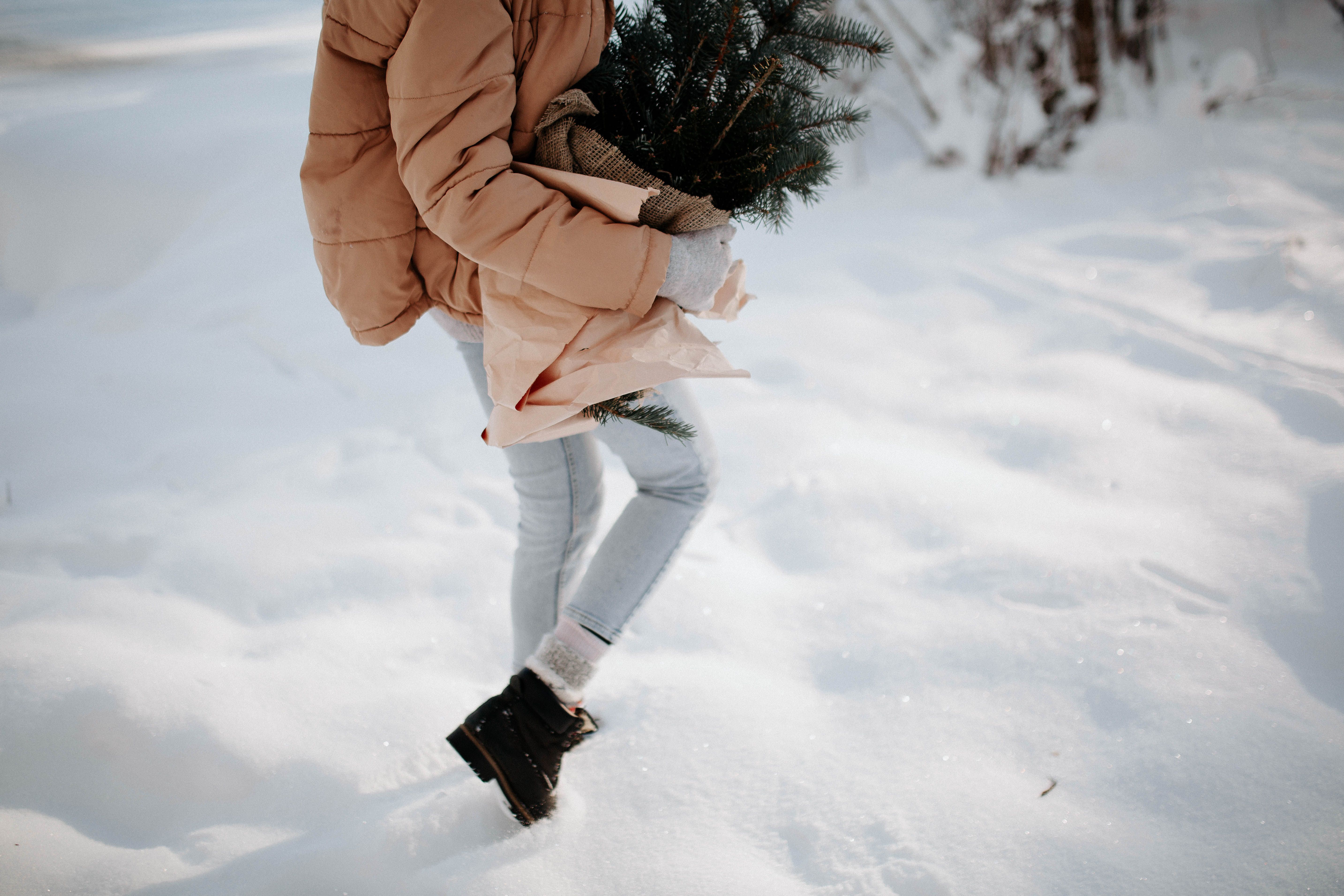 Winter Jacket Photos, Download The BEST Free Winter Jacket Stock Photos ...