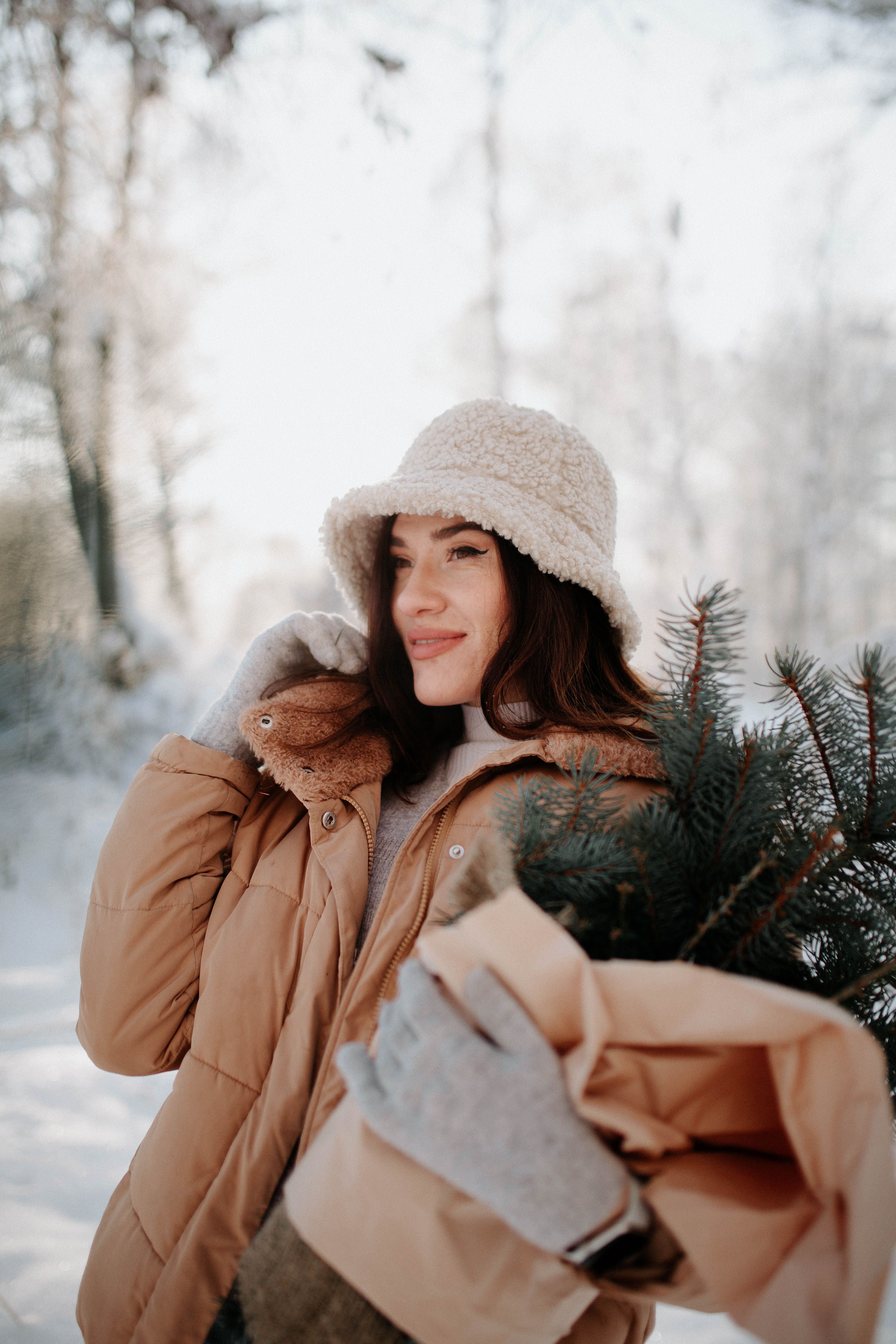Festive Fever Photos, Download The BEST Free Festive Fever Stock Photos ...