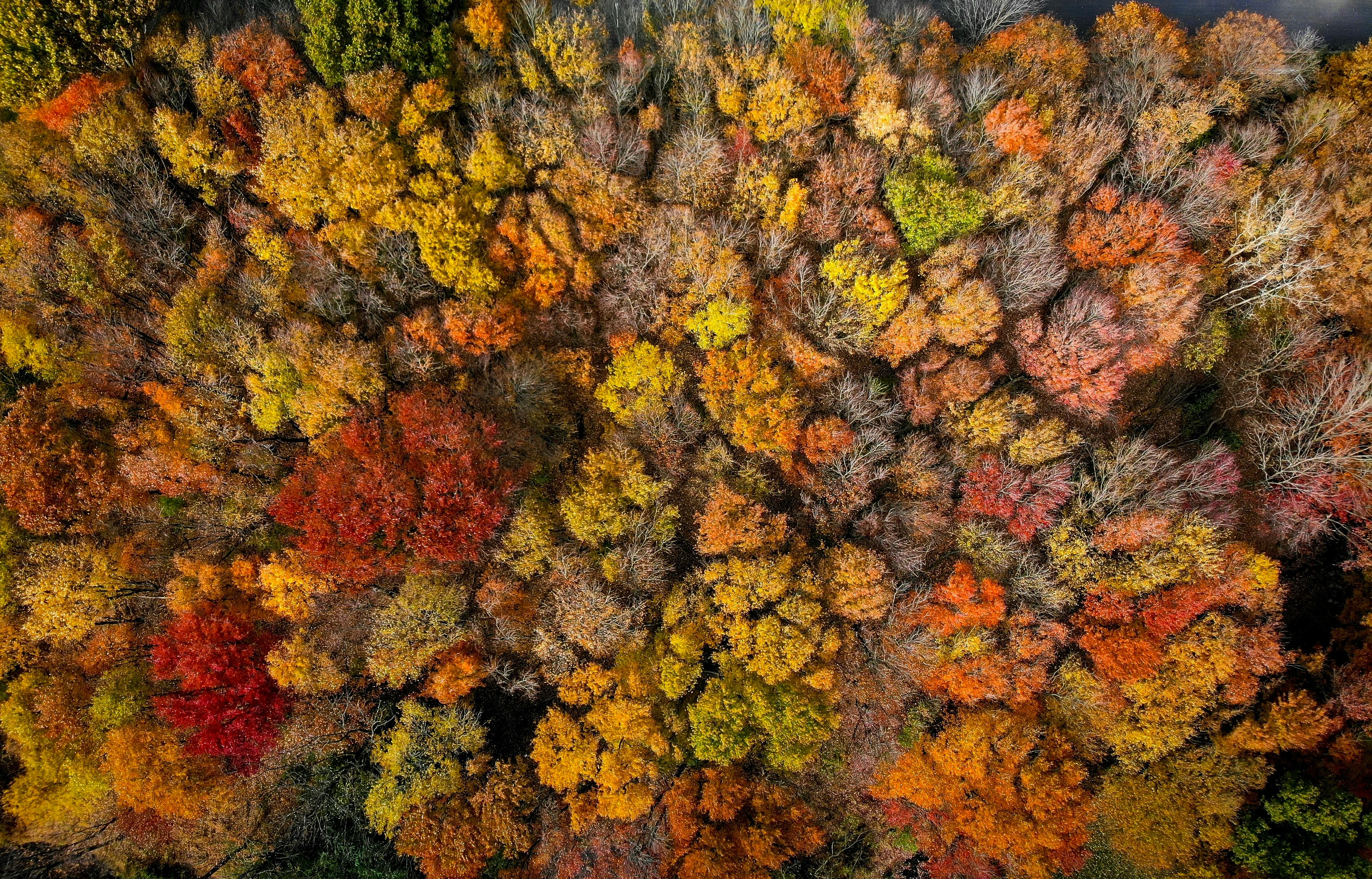 Dave Frisch · Photography