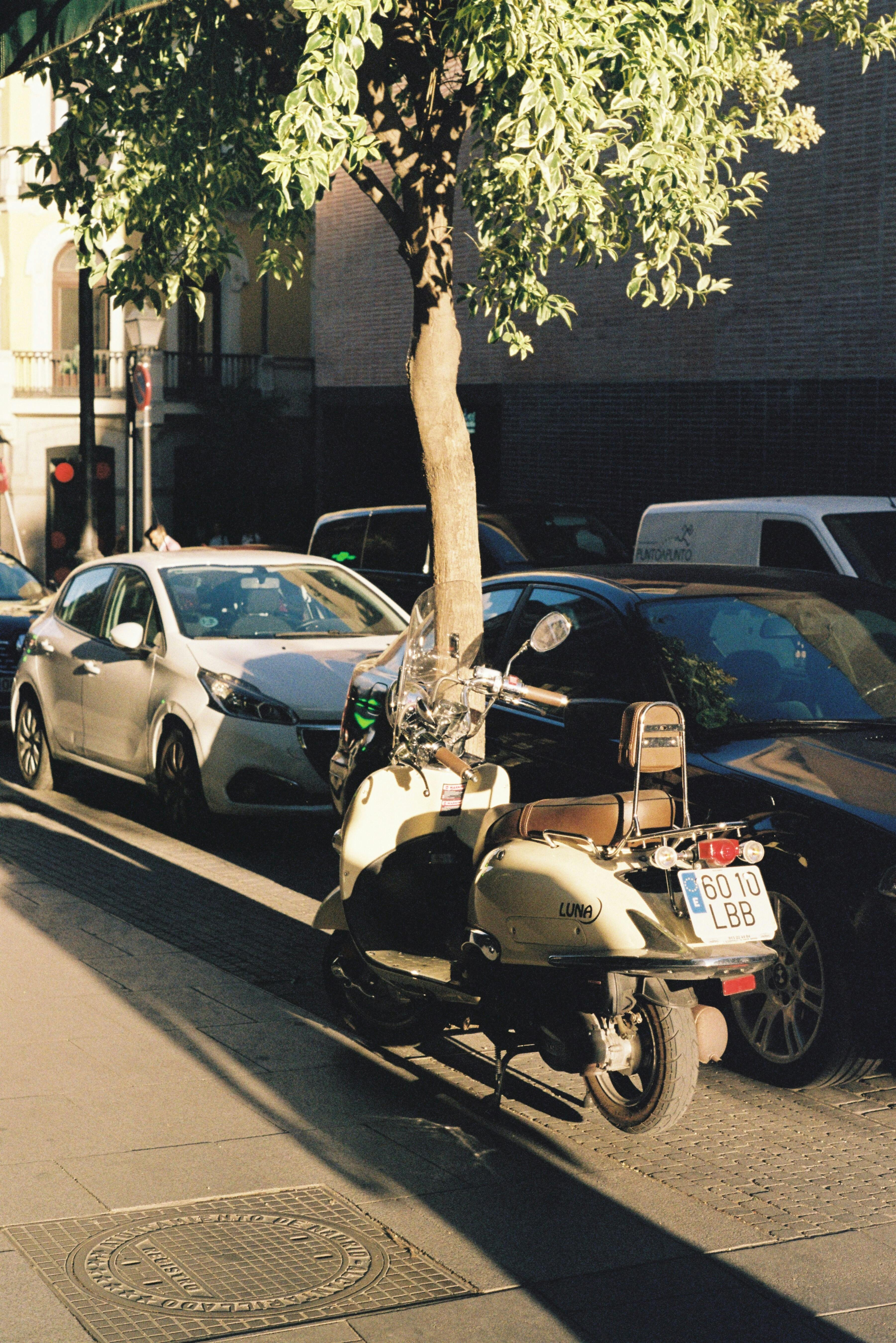 Motorbike near Tree on Street · Free Stock Photo