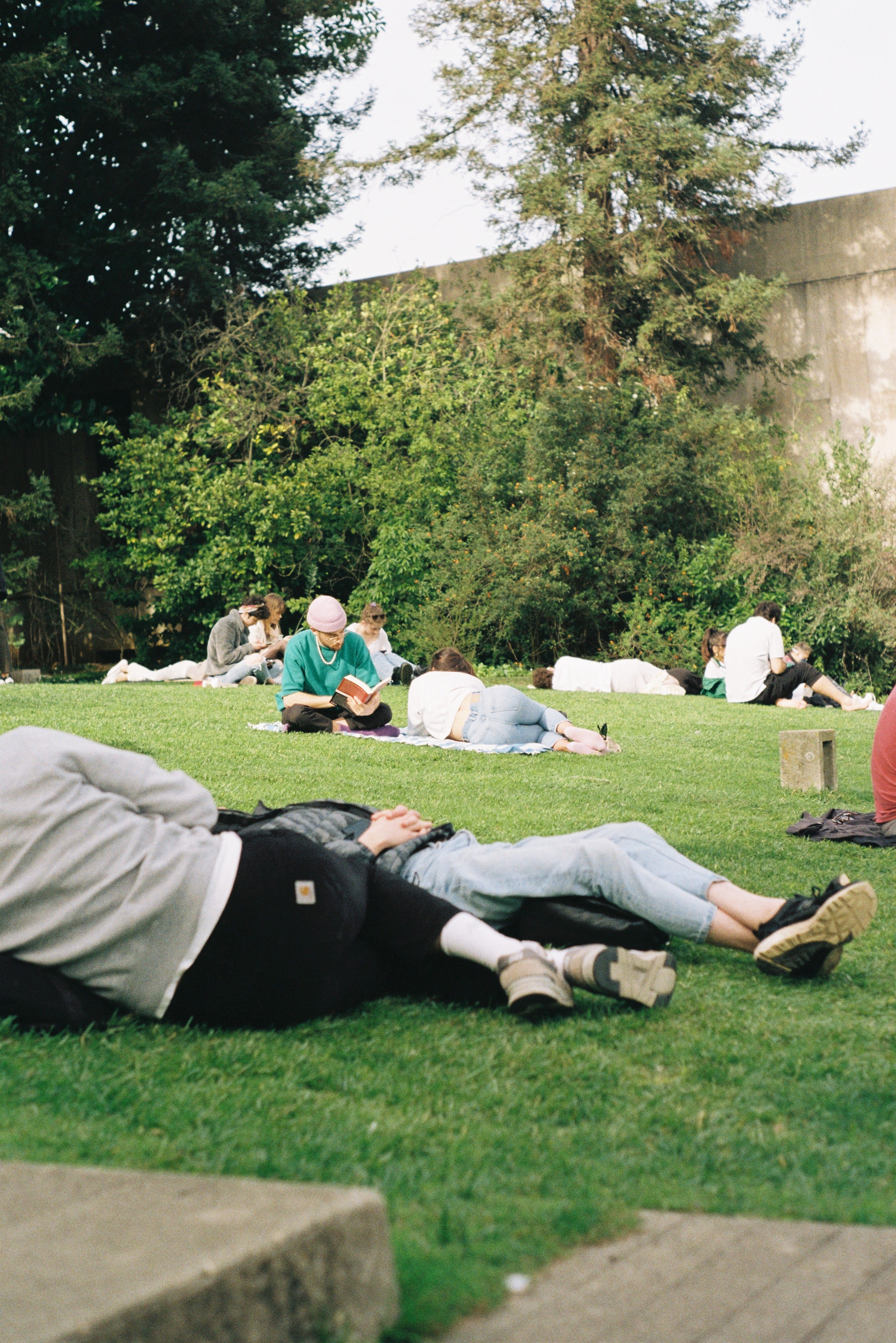 People Relaxing in Park on Lawn · Free Stock Photo