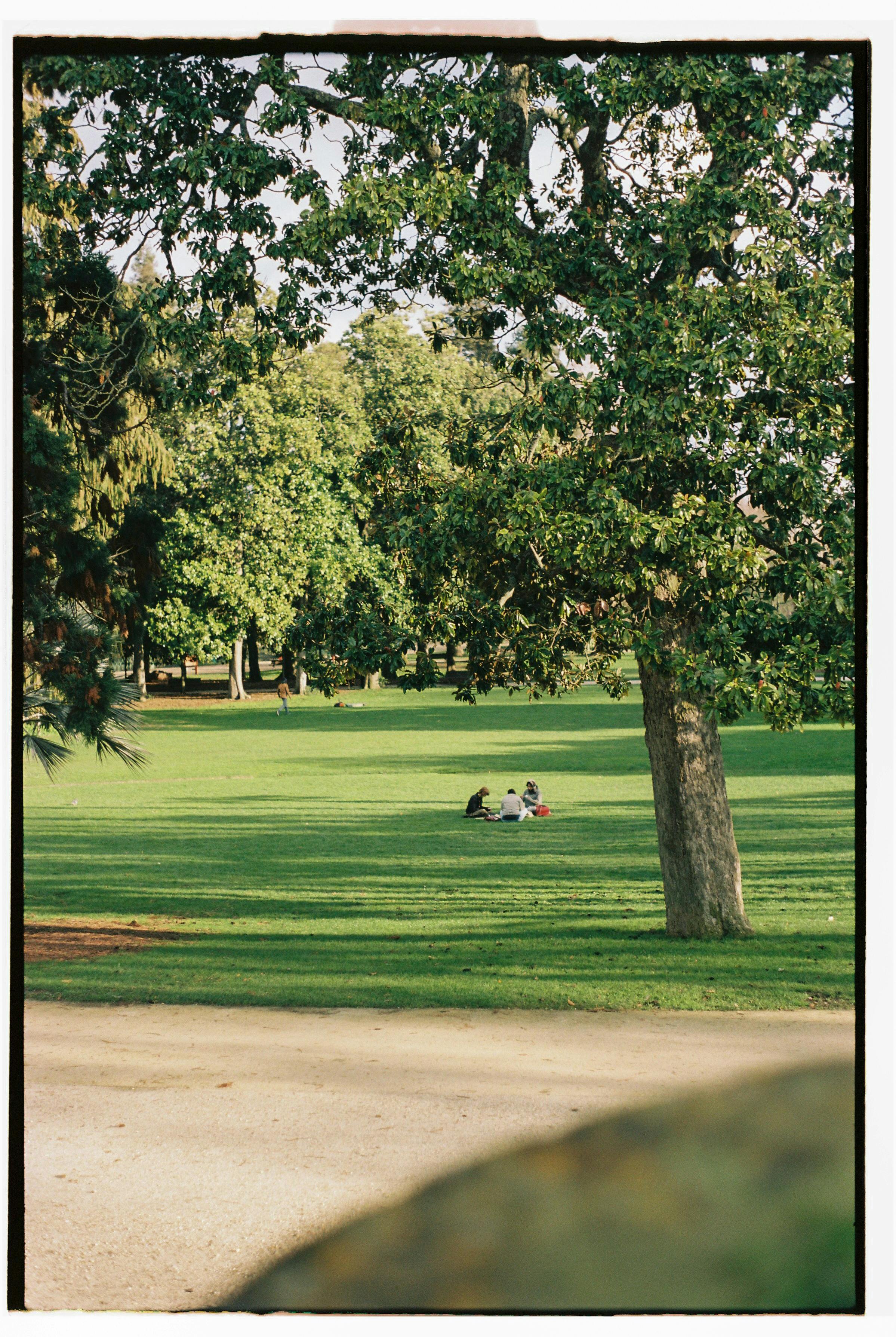 Bordeaux Park Photos, Download The BEST Free Bordeaux Park Stock Photos ...