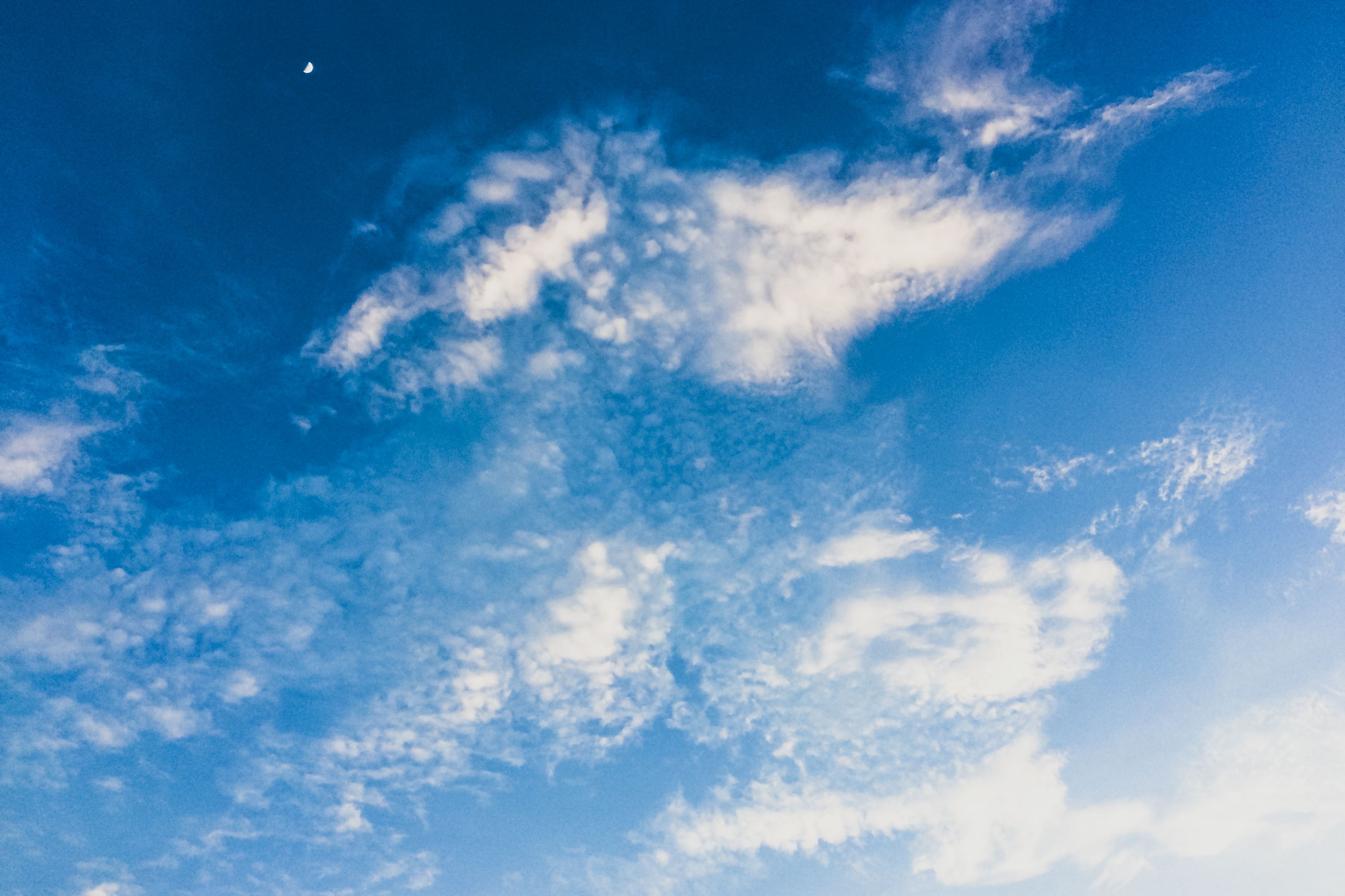 blue sky that afternoon · Free Stock Photo