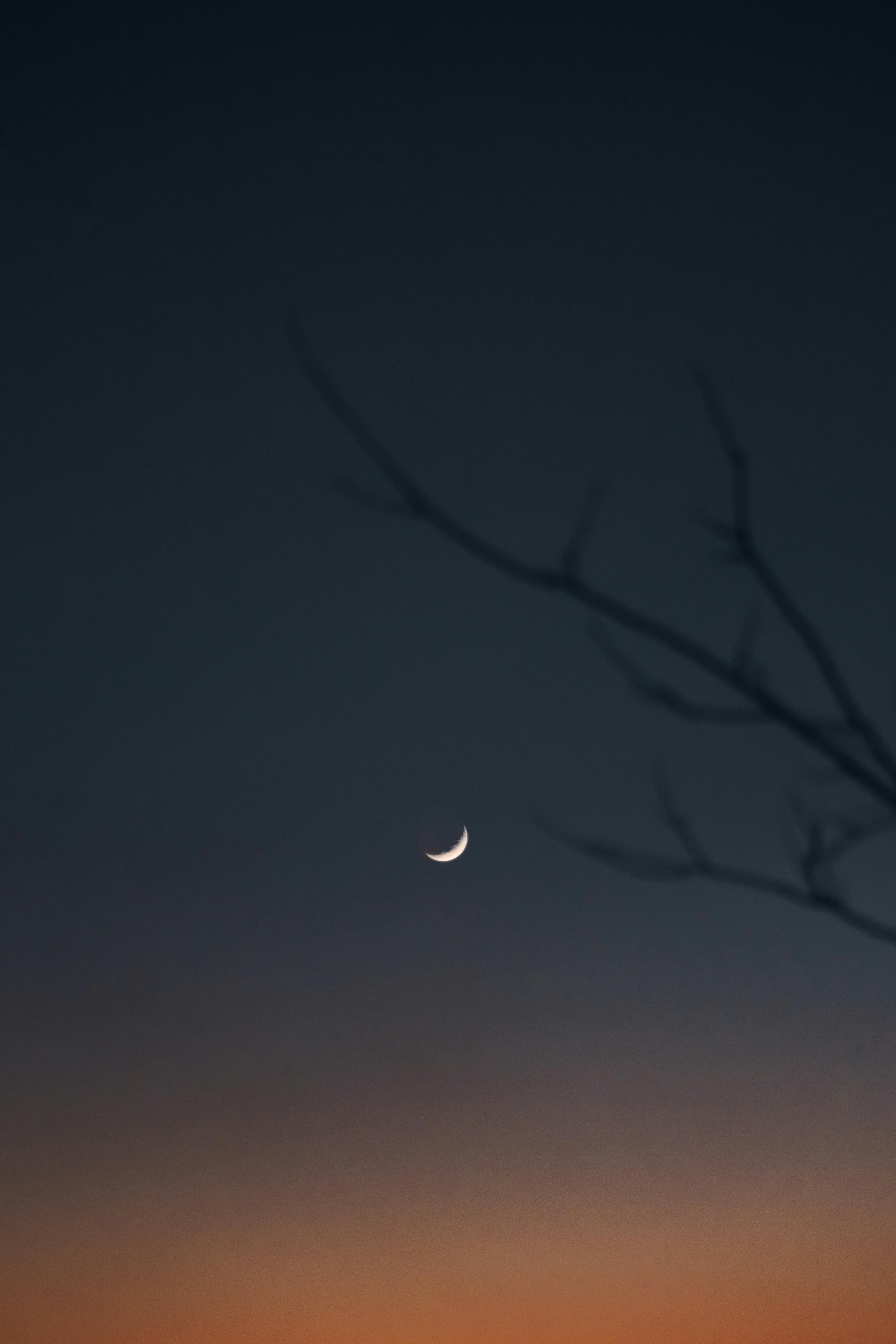 Crescent Moon at Dusk · Free Stock Photo