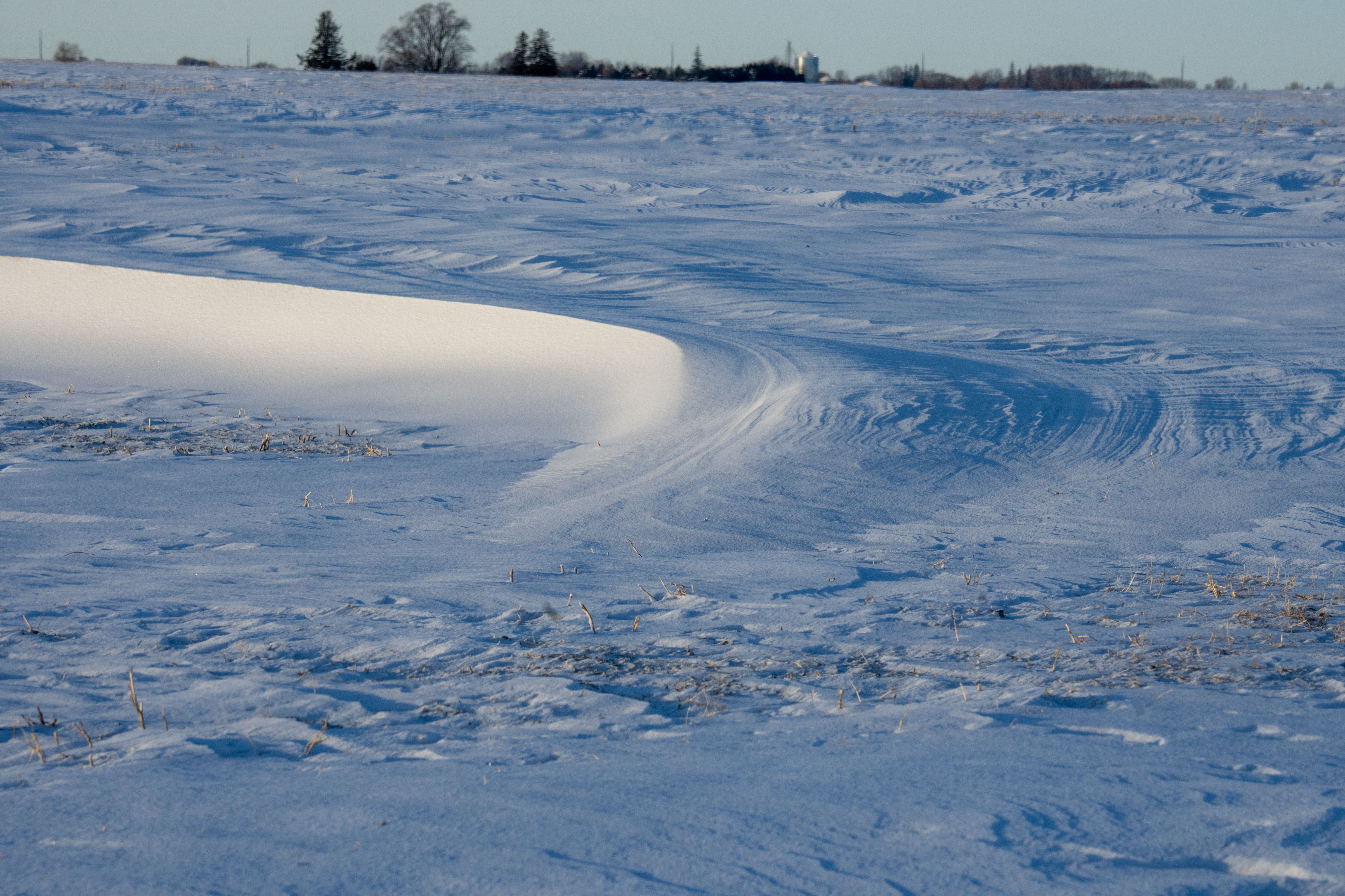 Winter Landscape with a Field Covered with Snow · Free Stock Photo