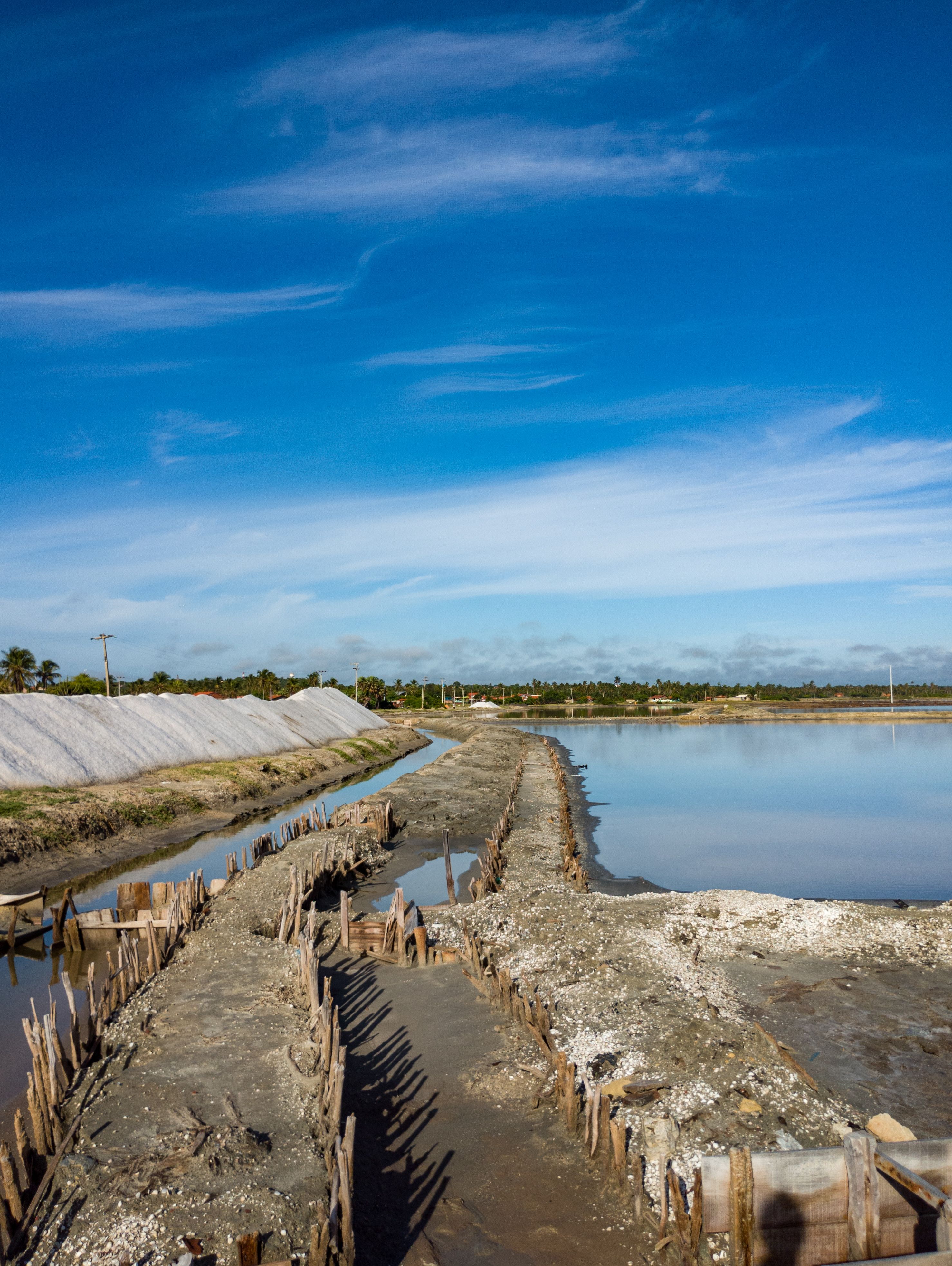 Floodbanks along Lake Shore · Free Stock Photo