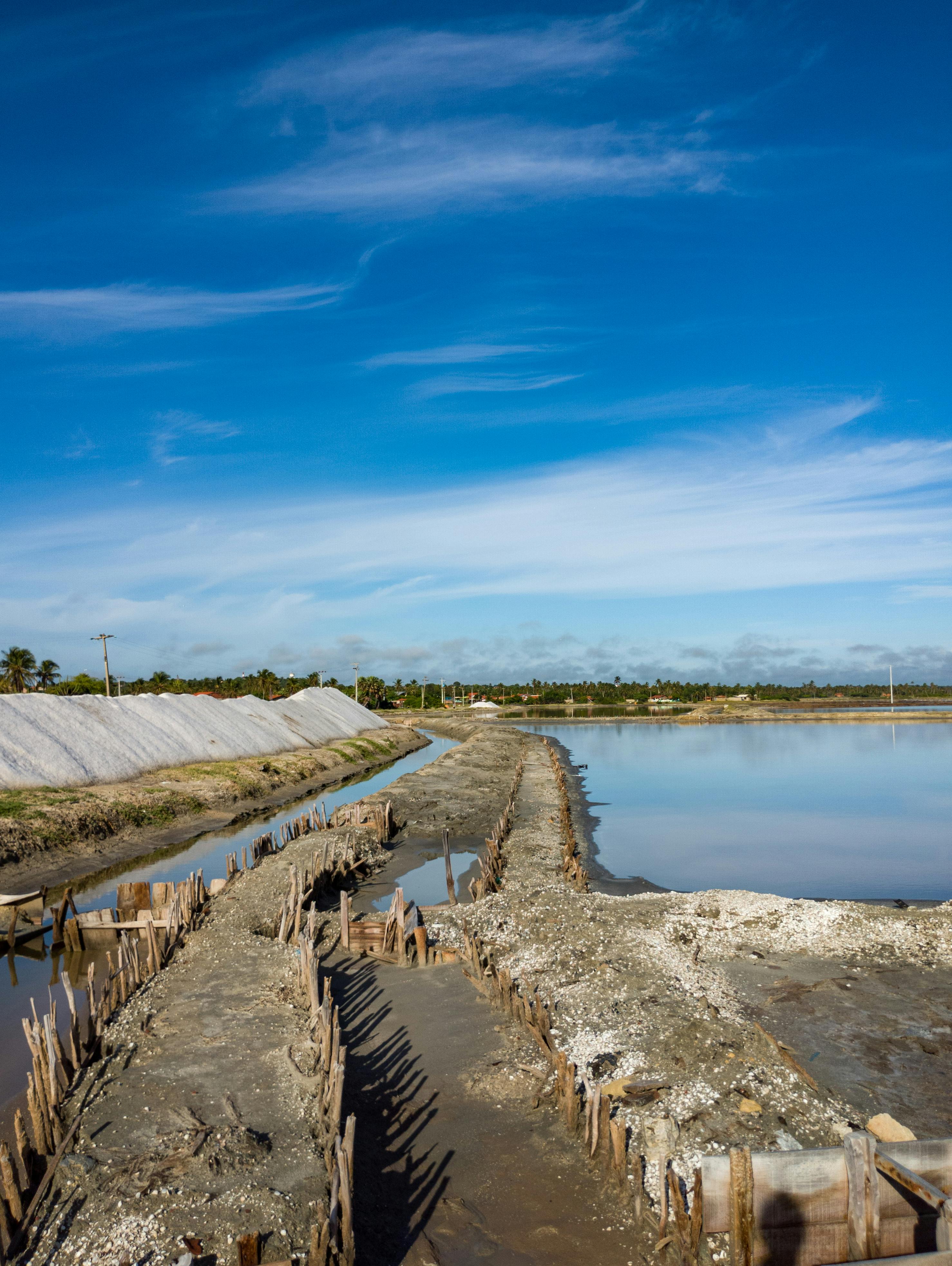 Floodbank Photos, Download The BEST Free Floodbank Stock Photos & HD Images