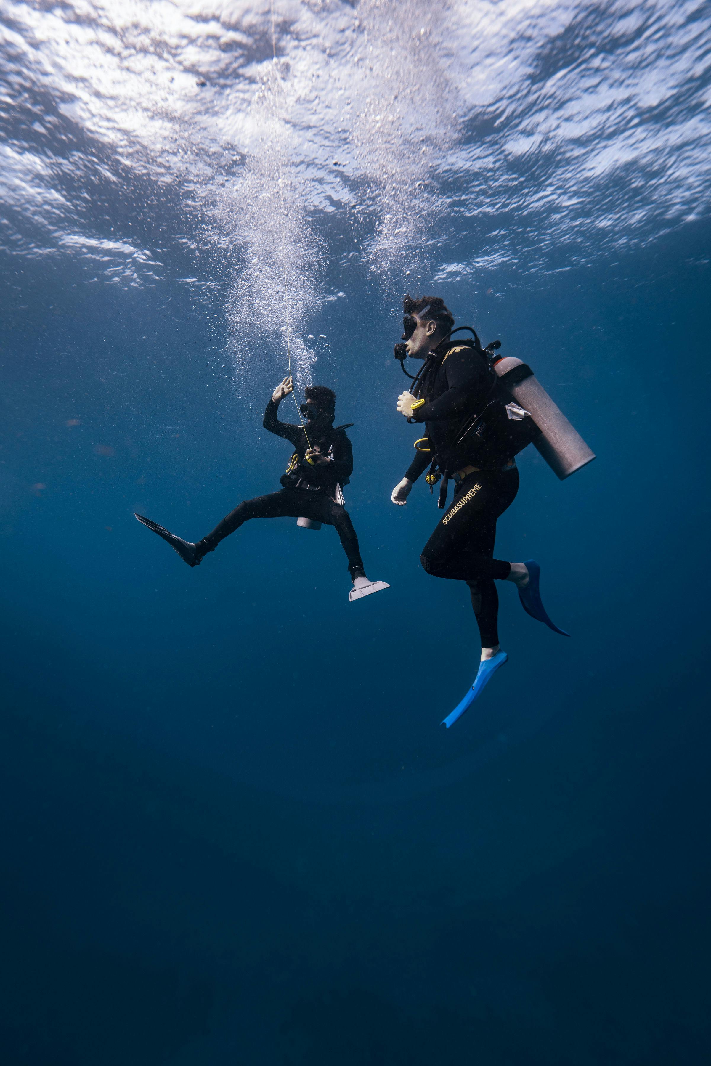 Scuba Divers Descendiendo De Un Barco Bajo El Agua · Foto de stock gratuita