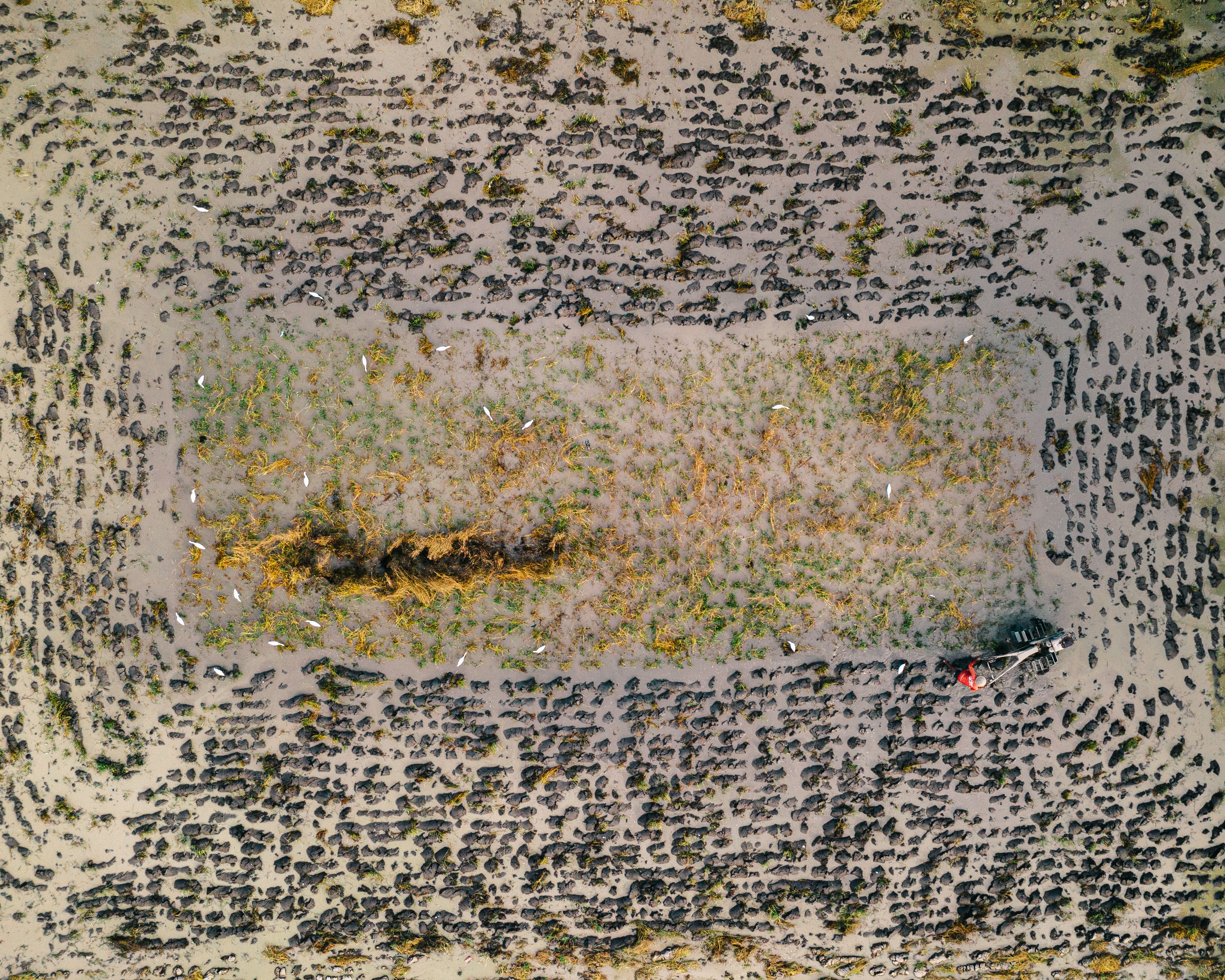 Abstract Photo of a Sandy Field · Free Stock Photo