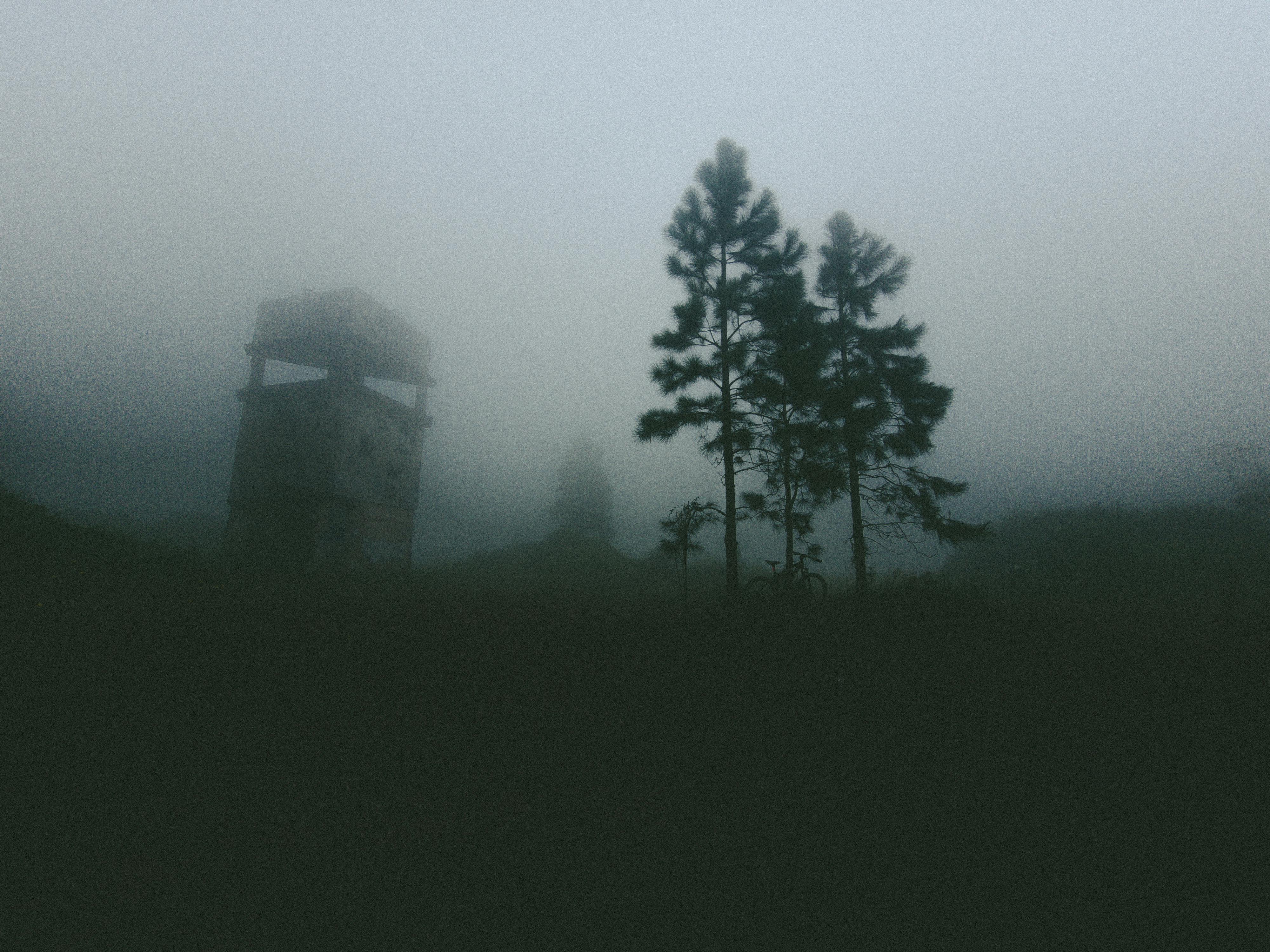 Wooden Watchtower in Fog · Free Stock Photo