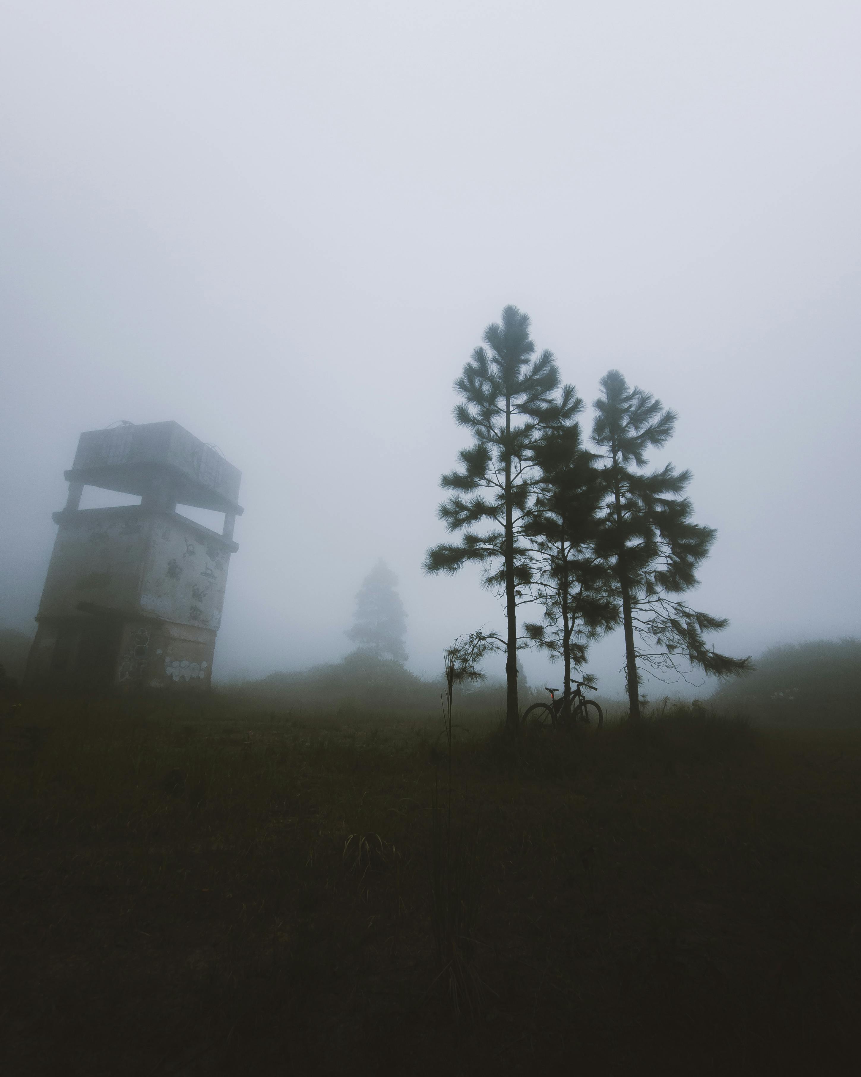 Watchtower Photos, Download The BEST Free Watchtower Stock Photos & HD ...