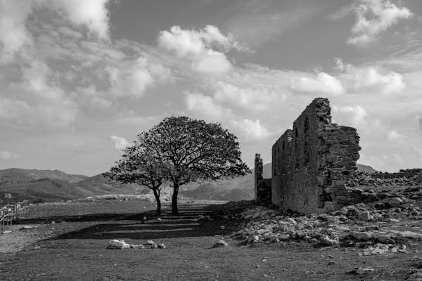 Castle Destroyed Photos, Download The BEST Free Castle Destroyed Stock ...