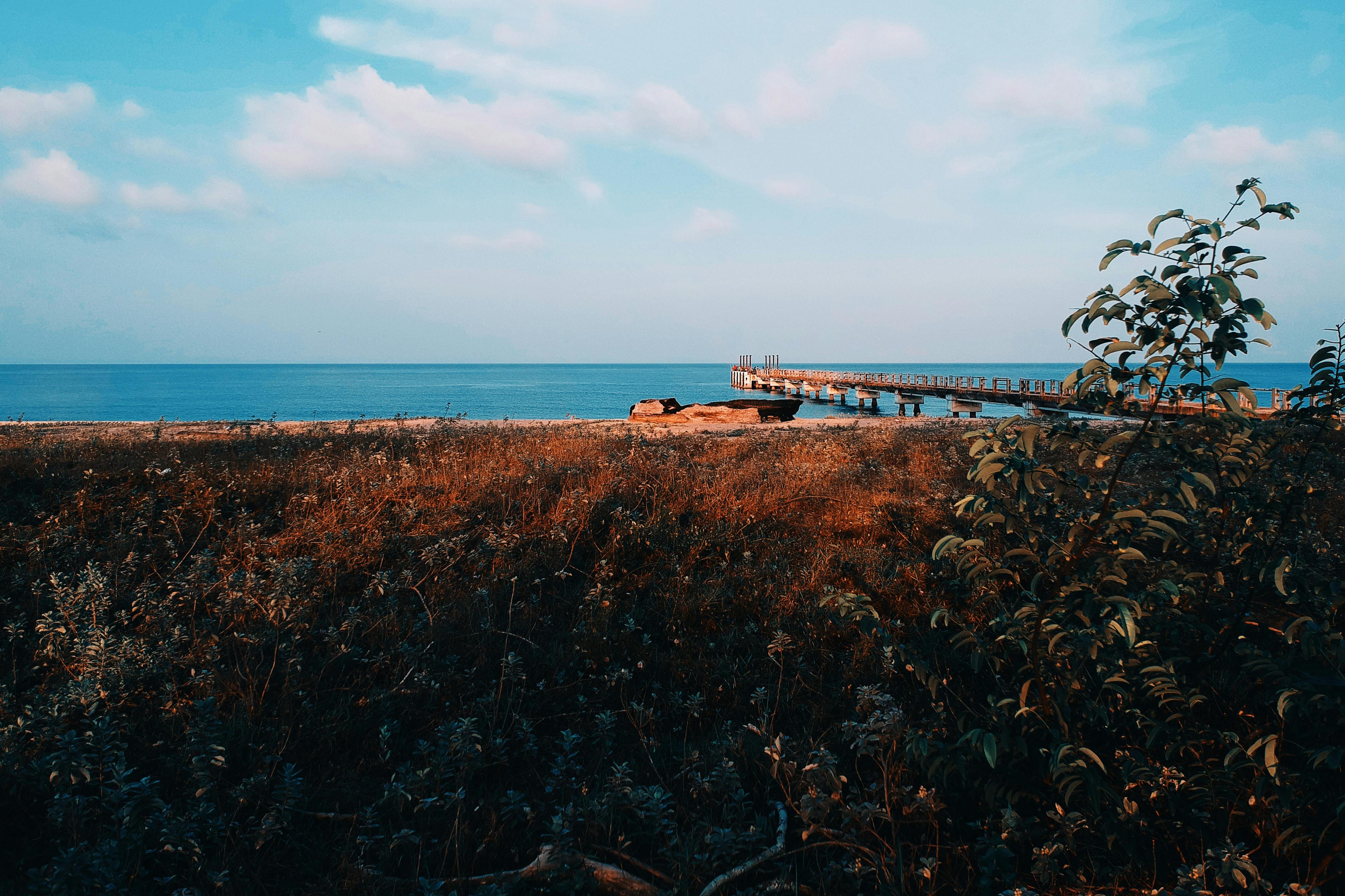 Dockyard · Free Stock Photo