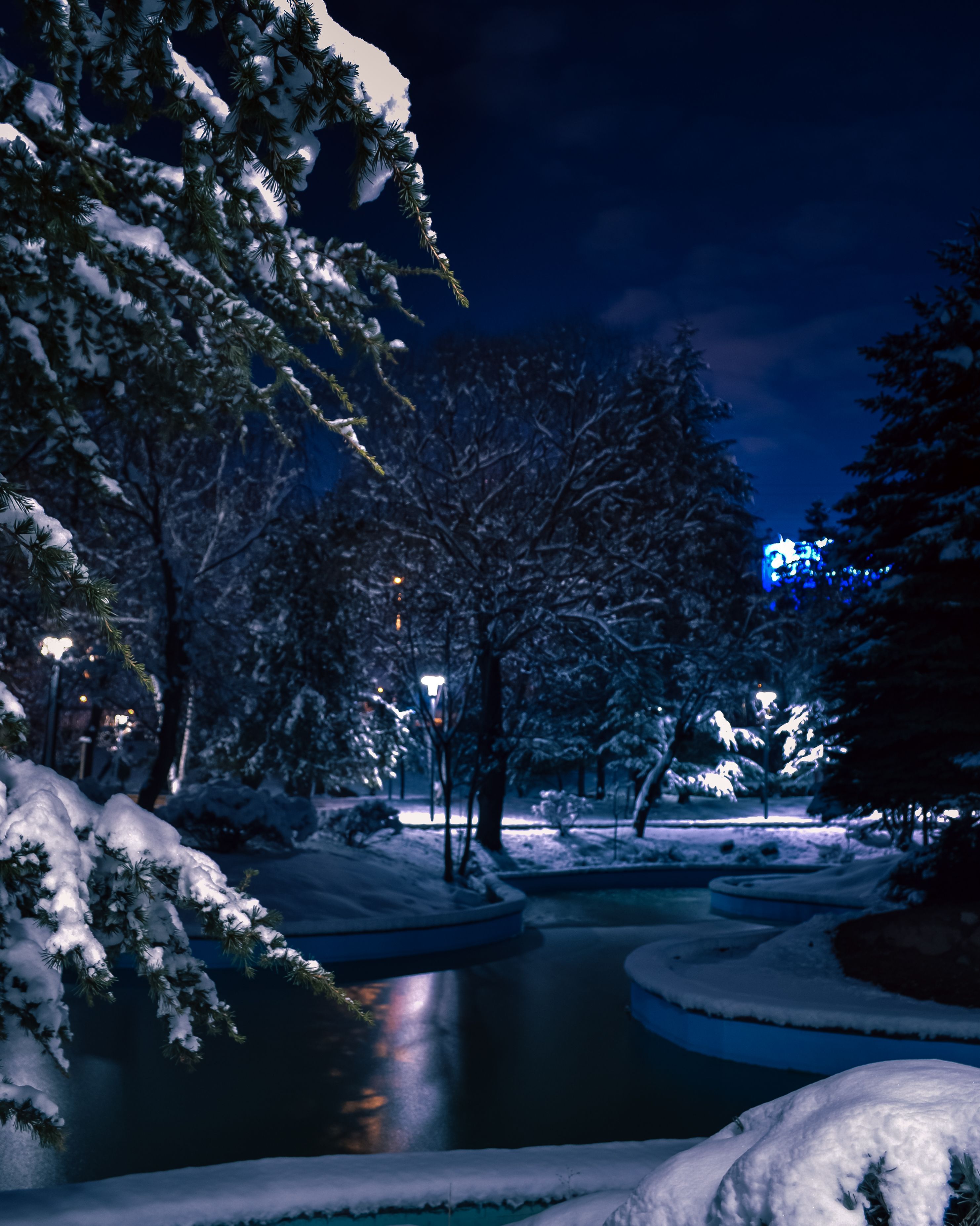 View of a Park at Night · Free Stock Photo