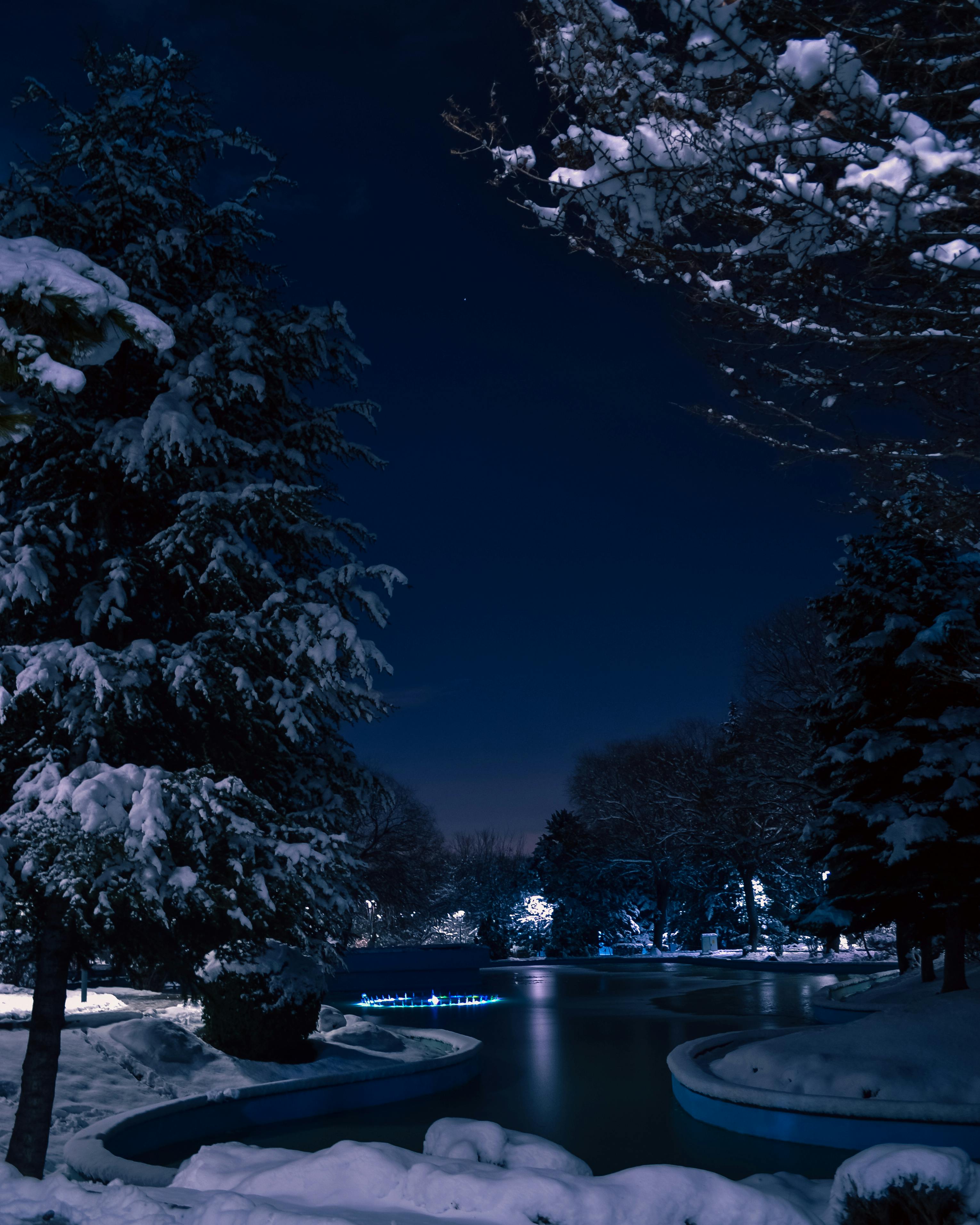 Night Pond Photos, Download The BEST Free Night Pond Stock Photos & HD ...