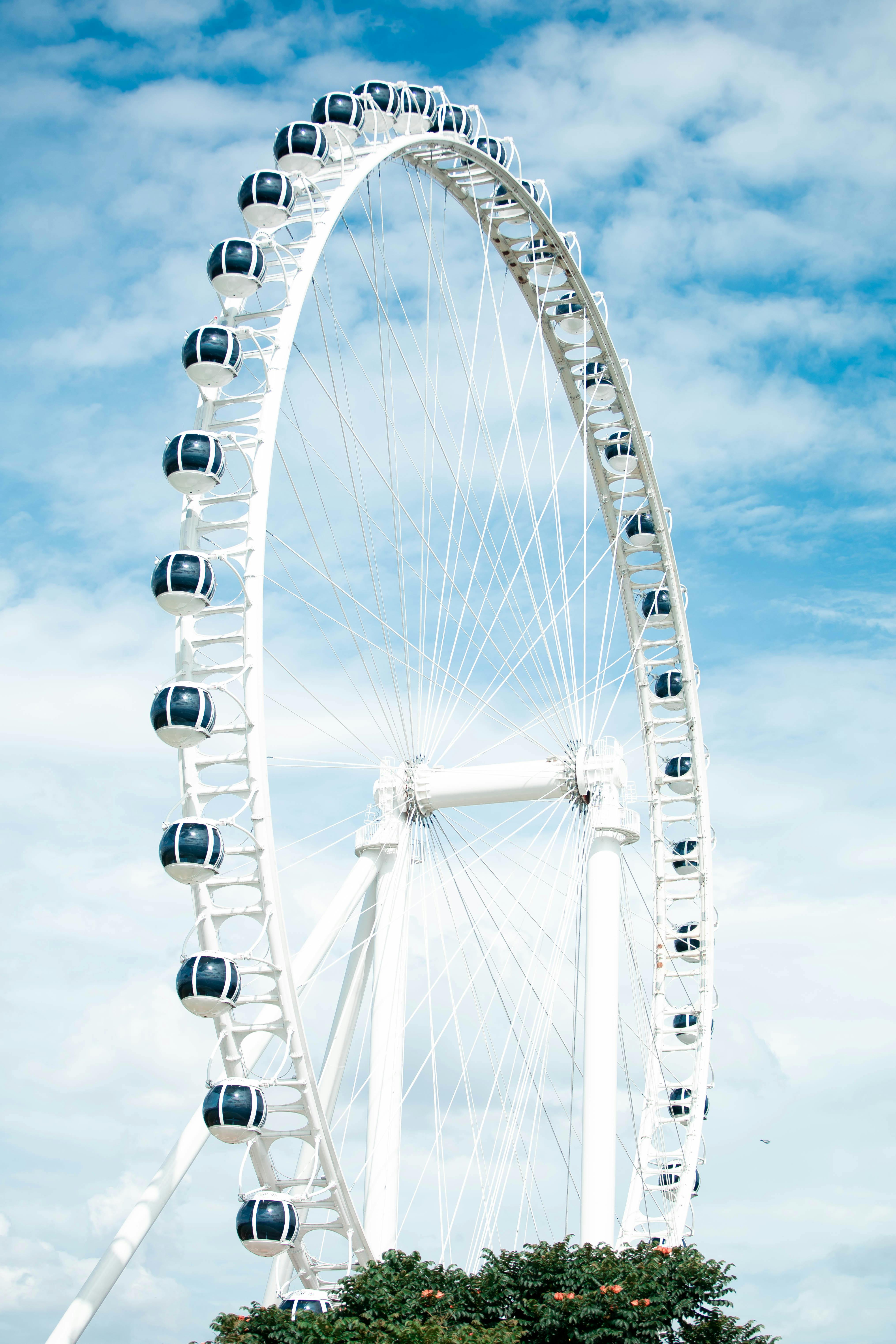 A Ferris Wheel in a Park · Free Stock Photo