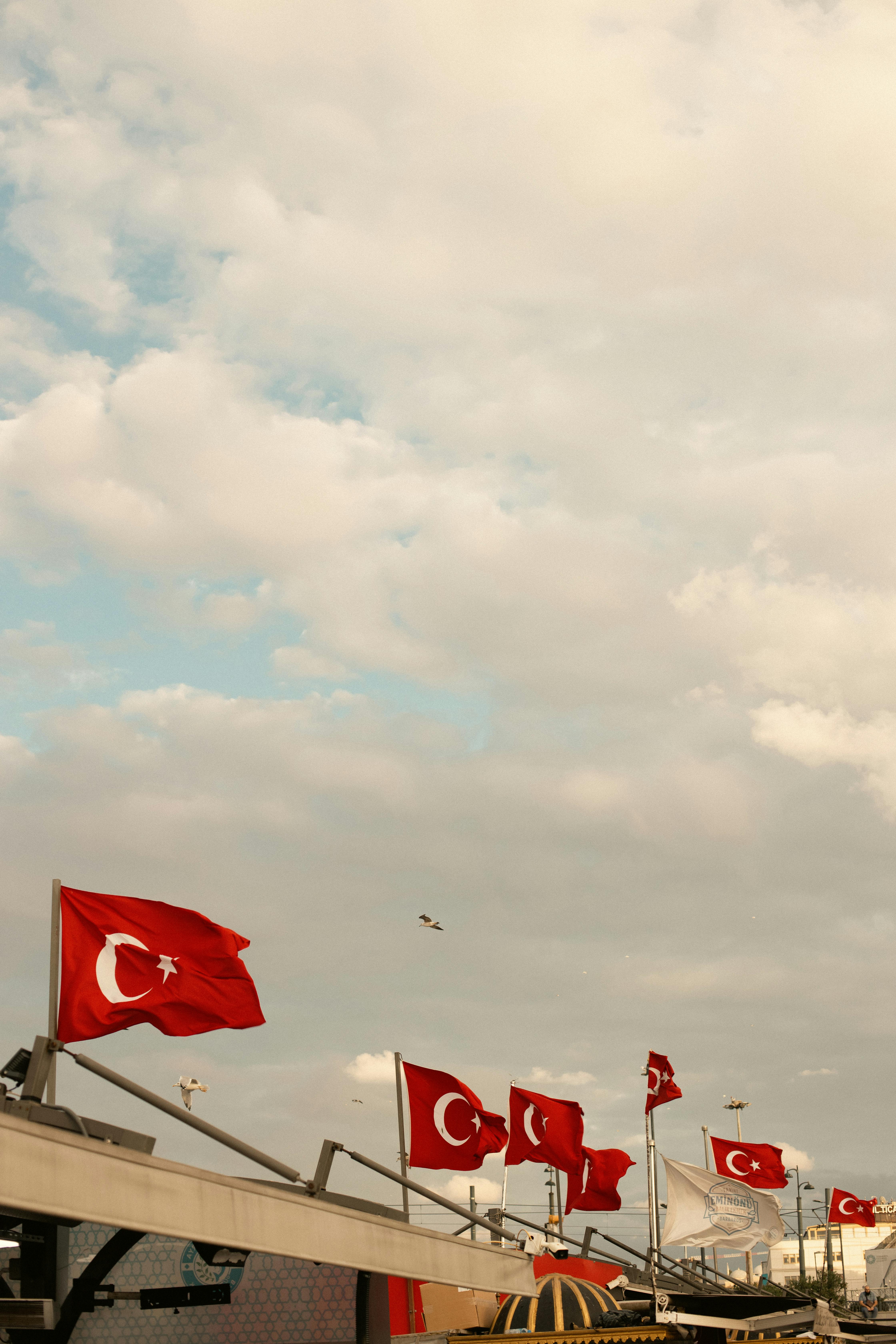 Flags of Turkiye · Free Stock Photo