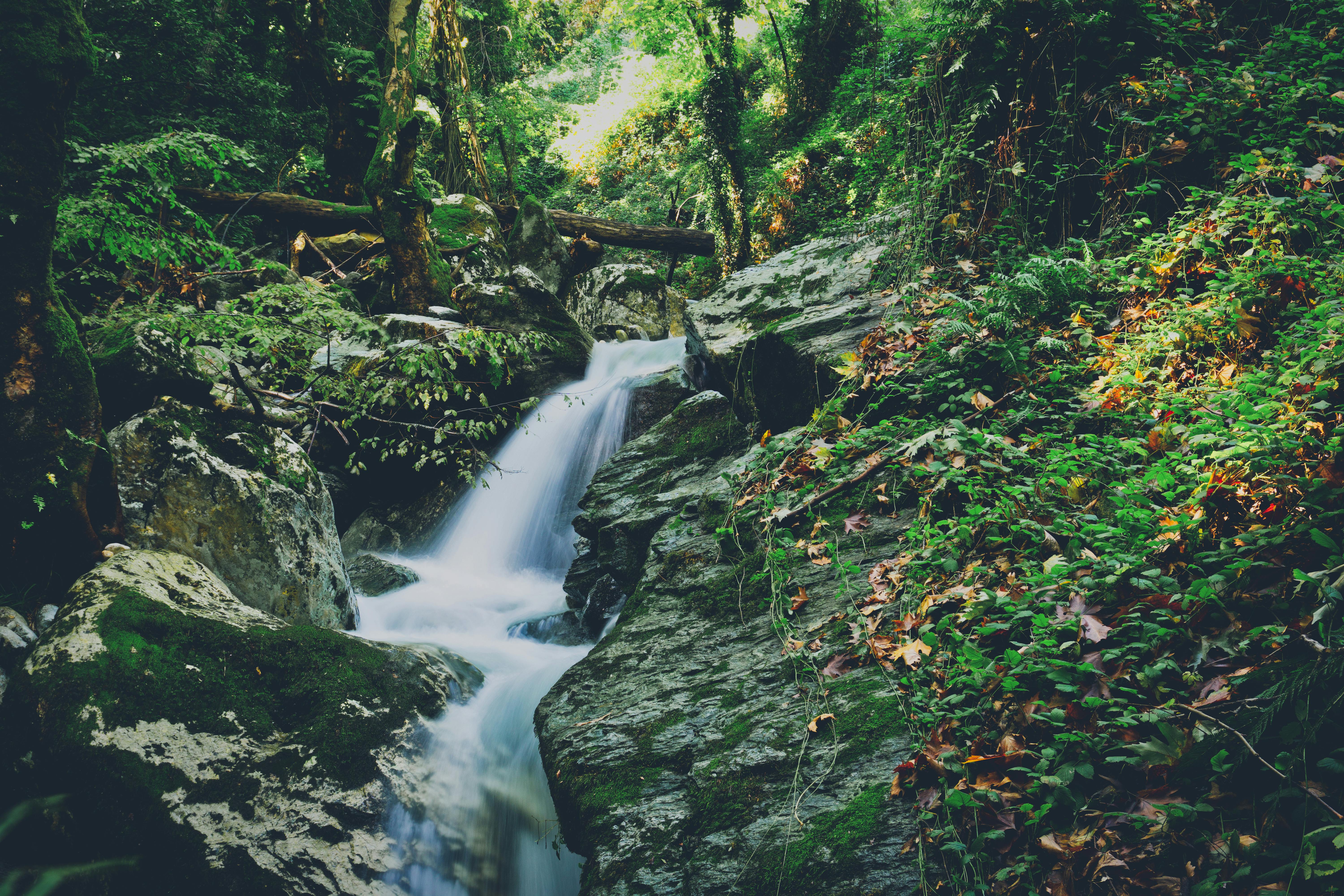 mali maeder · Photography