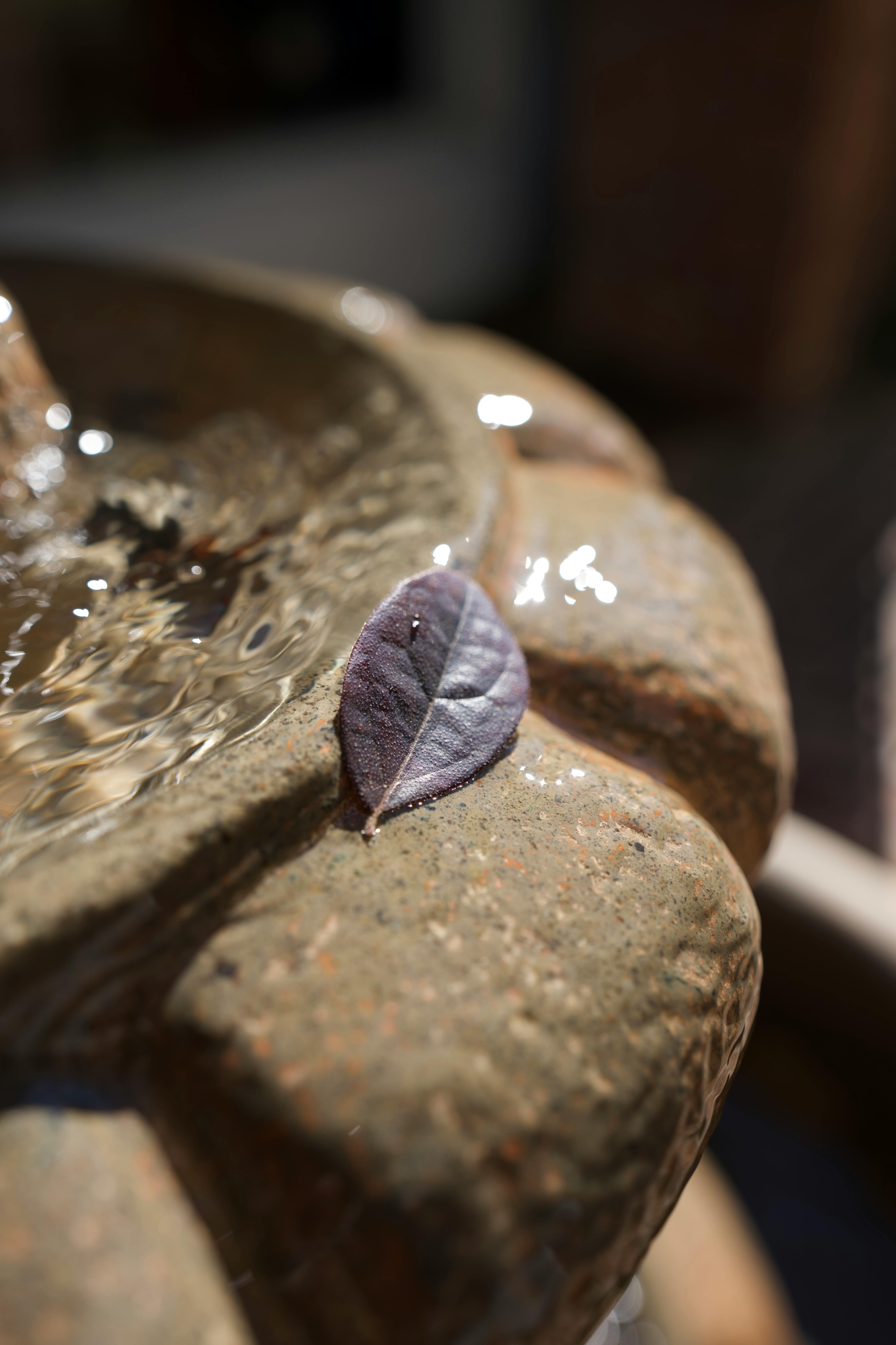 Foto de stock gratuita sobre agua, al aire libre, américa del norte ...