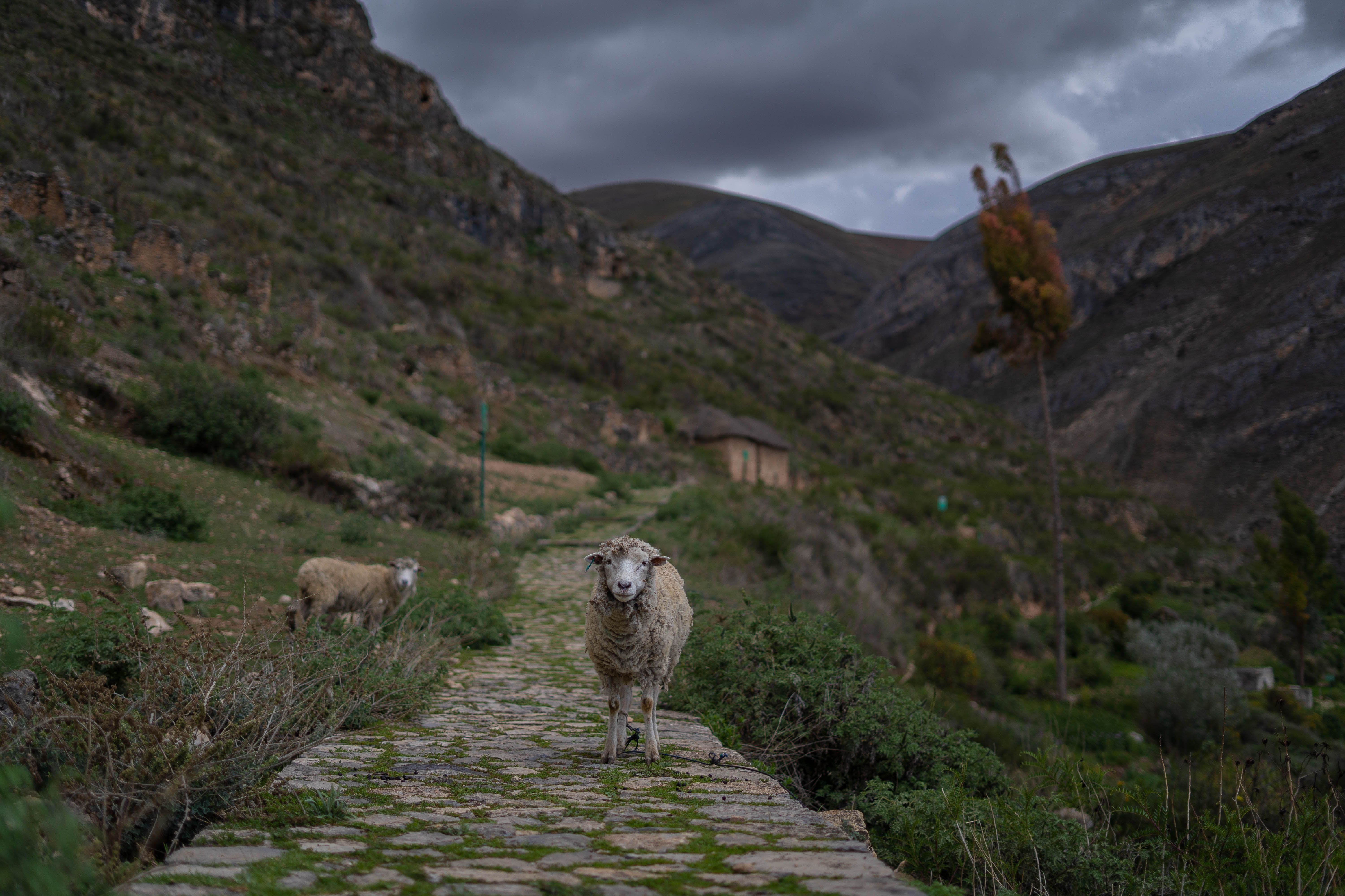 Villages Photos, Download The BEST Free Villages Stock Photos & HD Images
