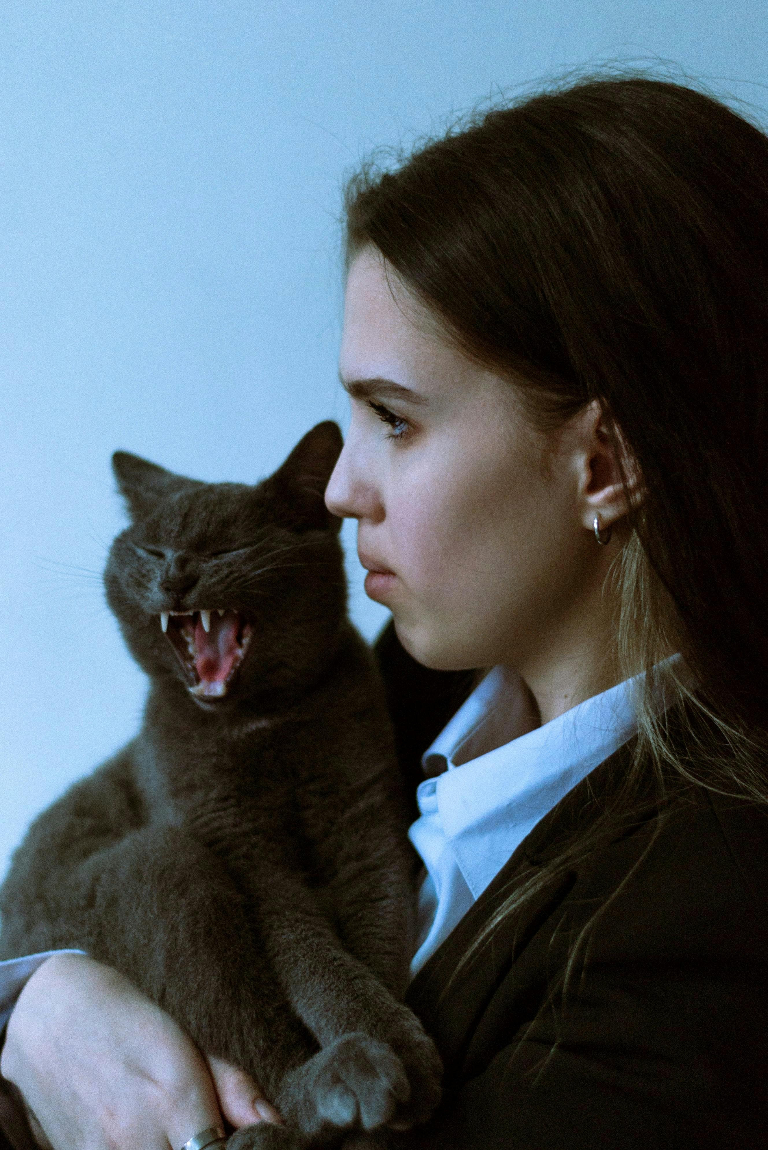 Woman Carrying Siamese Cat · Free Stock Photo