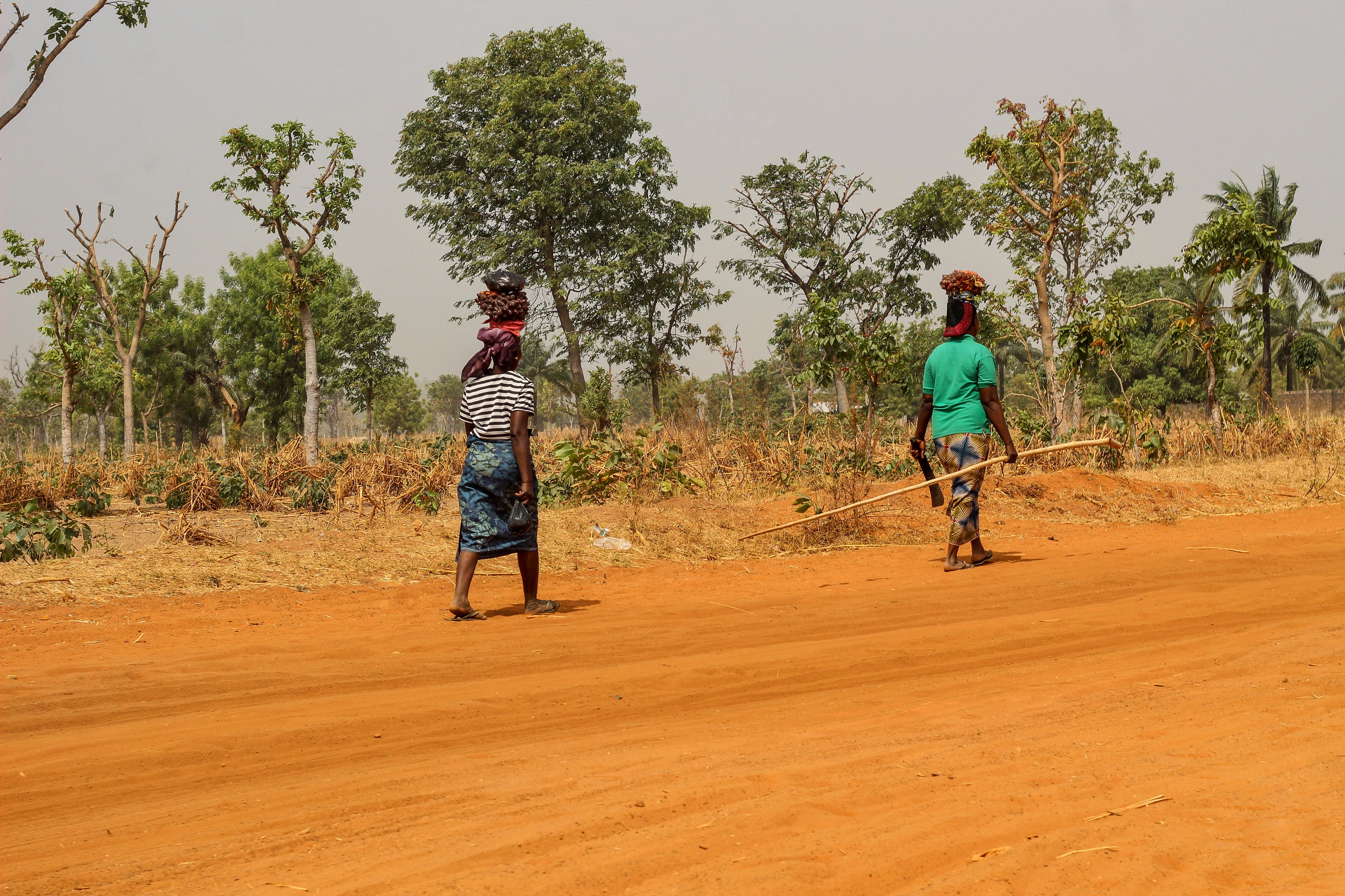 People Carrying Goods on Heads along Dirt Road · Free Stock Photo