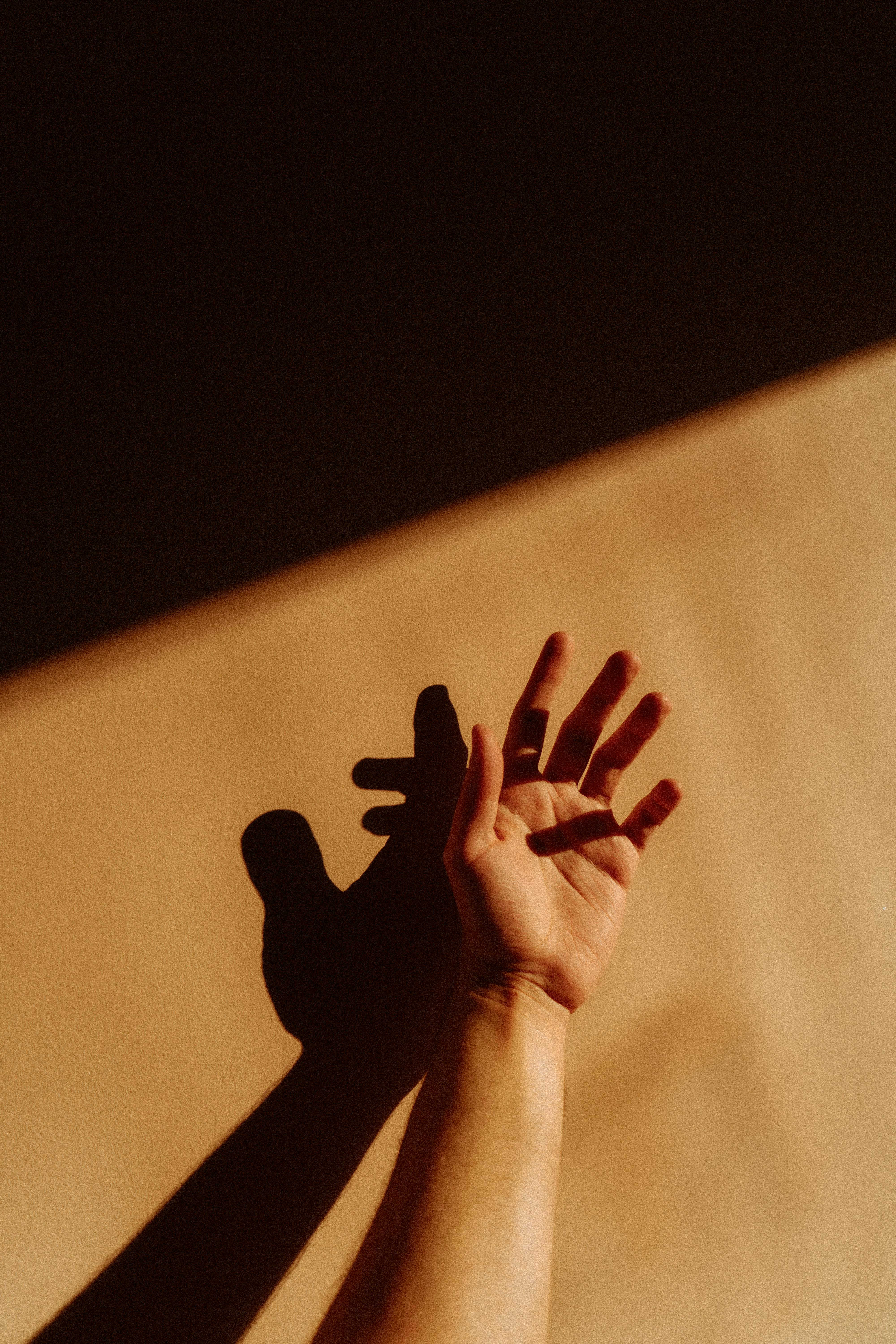 Hand Casting a Shadow · Free Stock Photo
