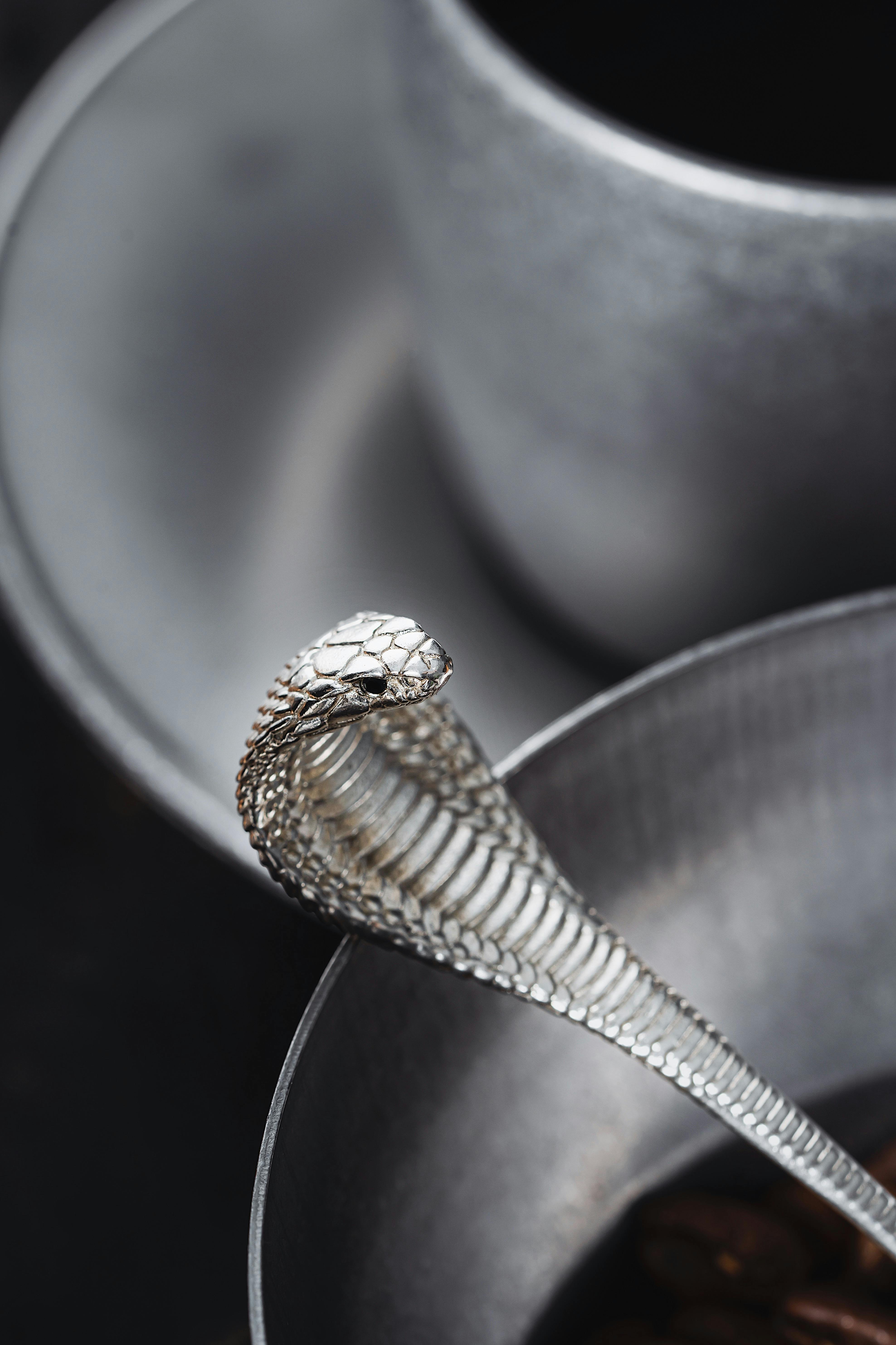 Silver Snake Spoon · Free Stock Photo