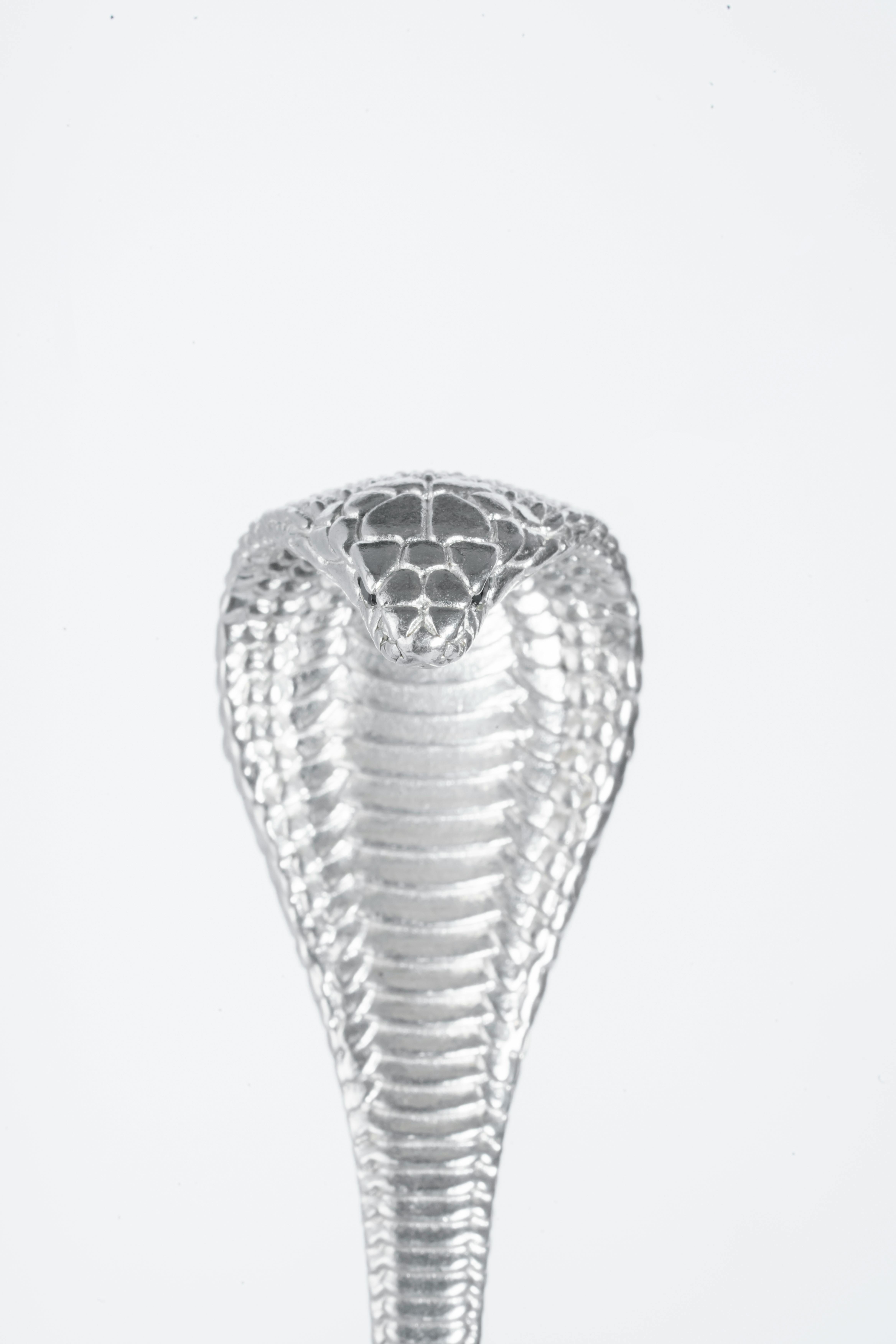 Close up of Silver Snake Spoon · Free Stock Photo