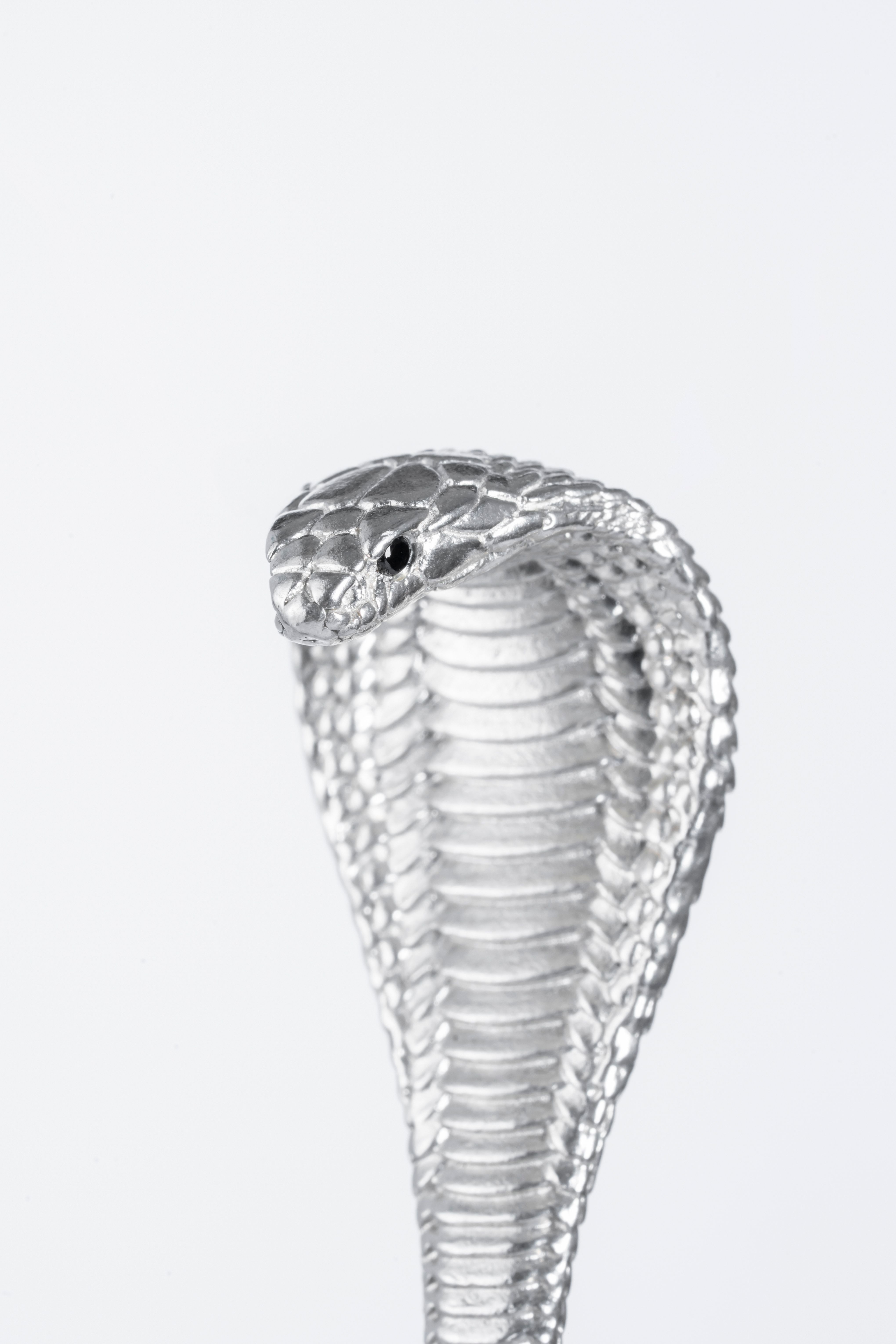 Silver Snake Spoon · Free Stock Photo