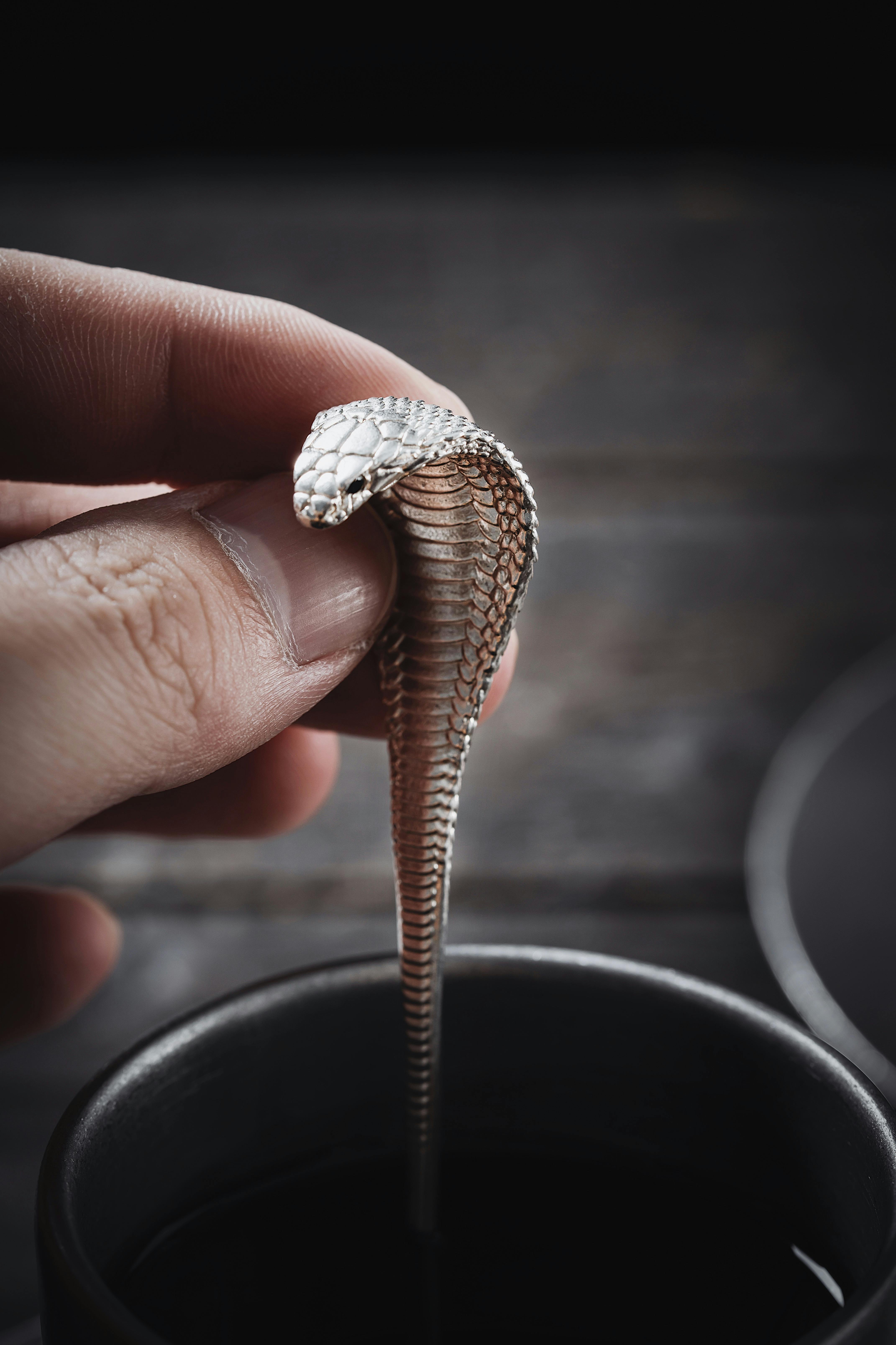 Fingers Holding Snake Spoon over Cup · Free Stock Photo